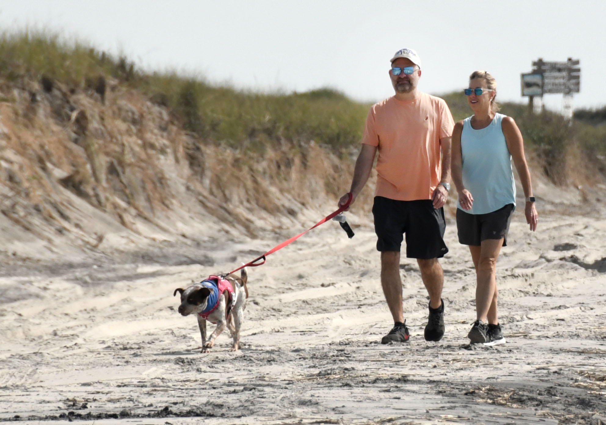 Dog-friendly Beach North beach in Brigantine - nj.com