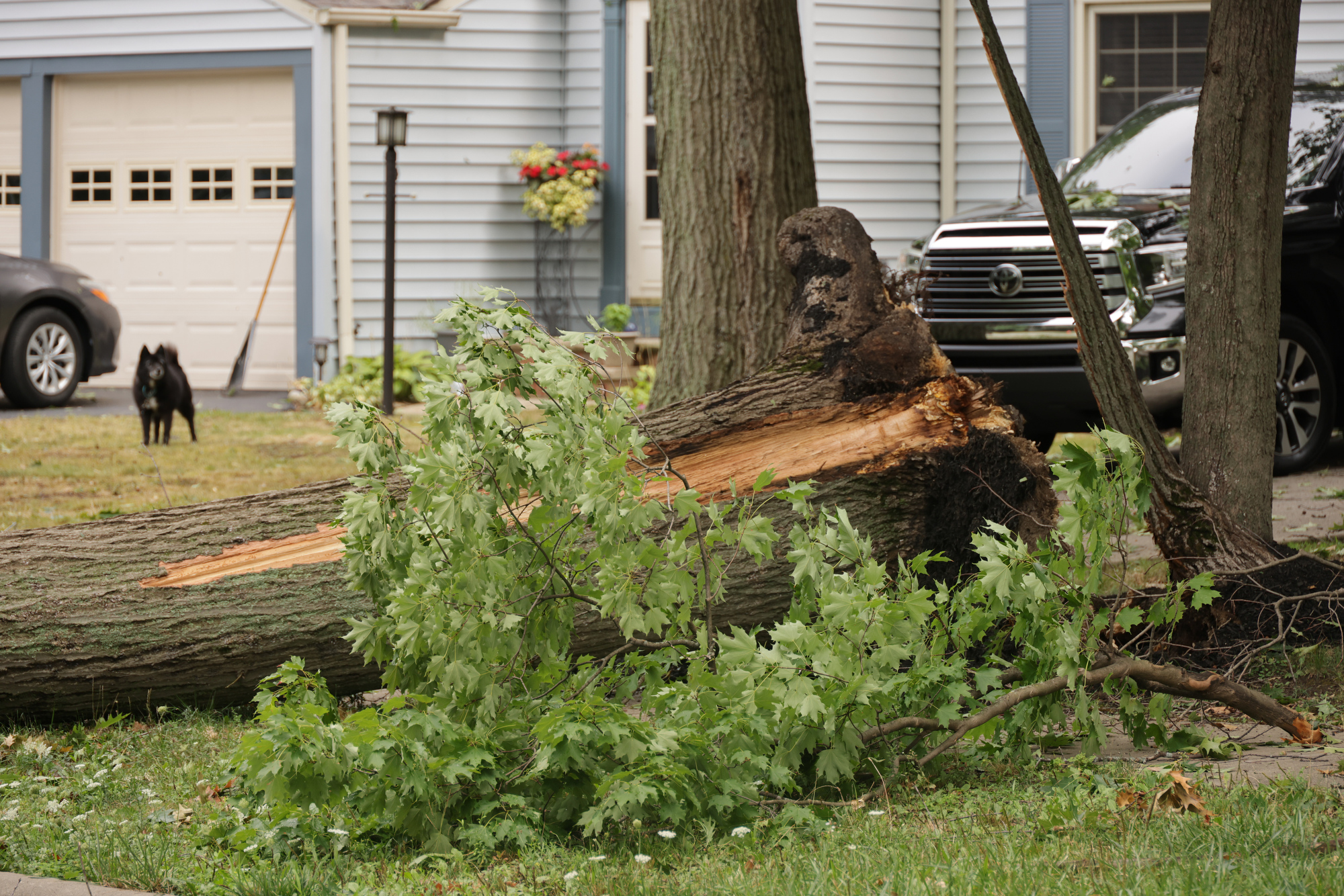 Storm damage around Northeast Ohio, August 7, 2024 - cleveland.com