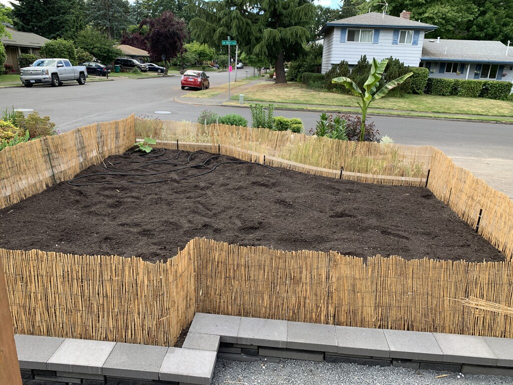 Giant pumpkins - oregonlive.com