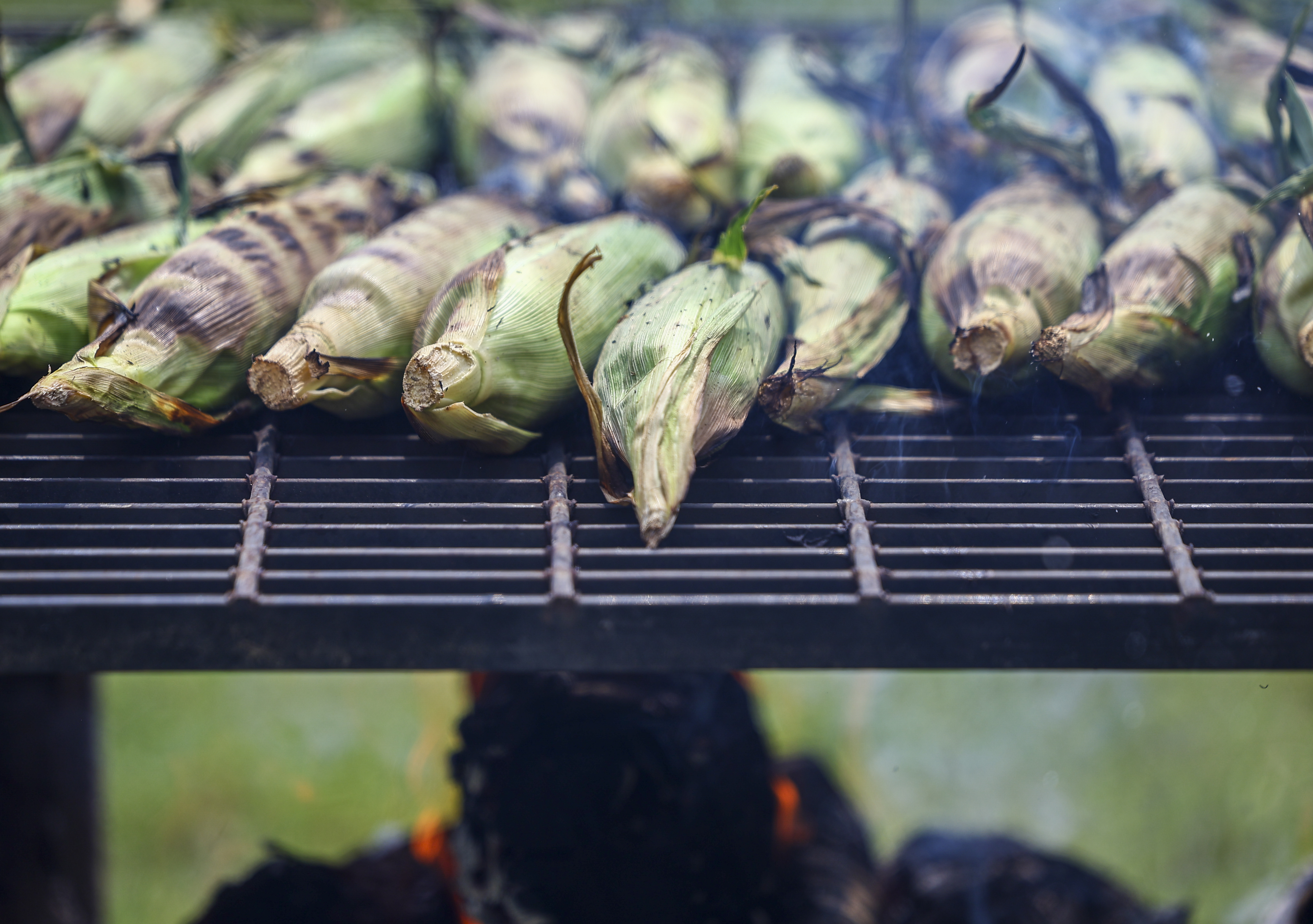 2025 Roasting Ears of Corn Festival - lehighvalleylive.com