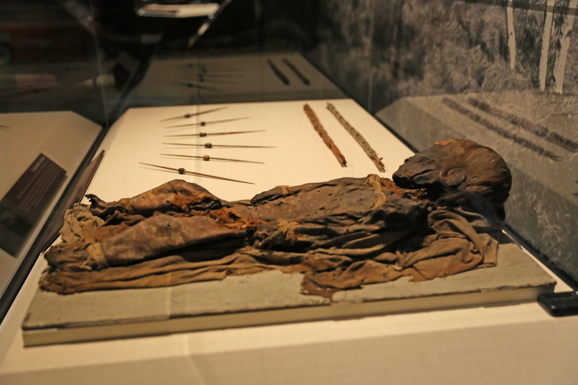 Mummies of the World on display at the Corner Gallery - cleveland.com