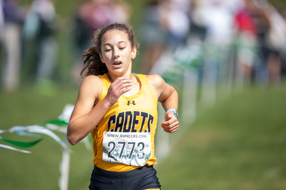 The 29th Carlisle Invitational cross country meet - pennlive.com