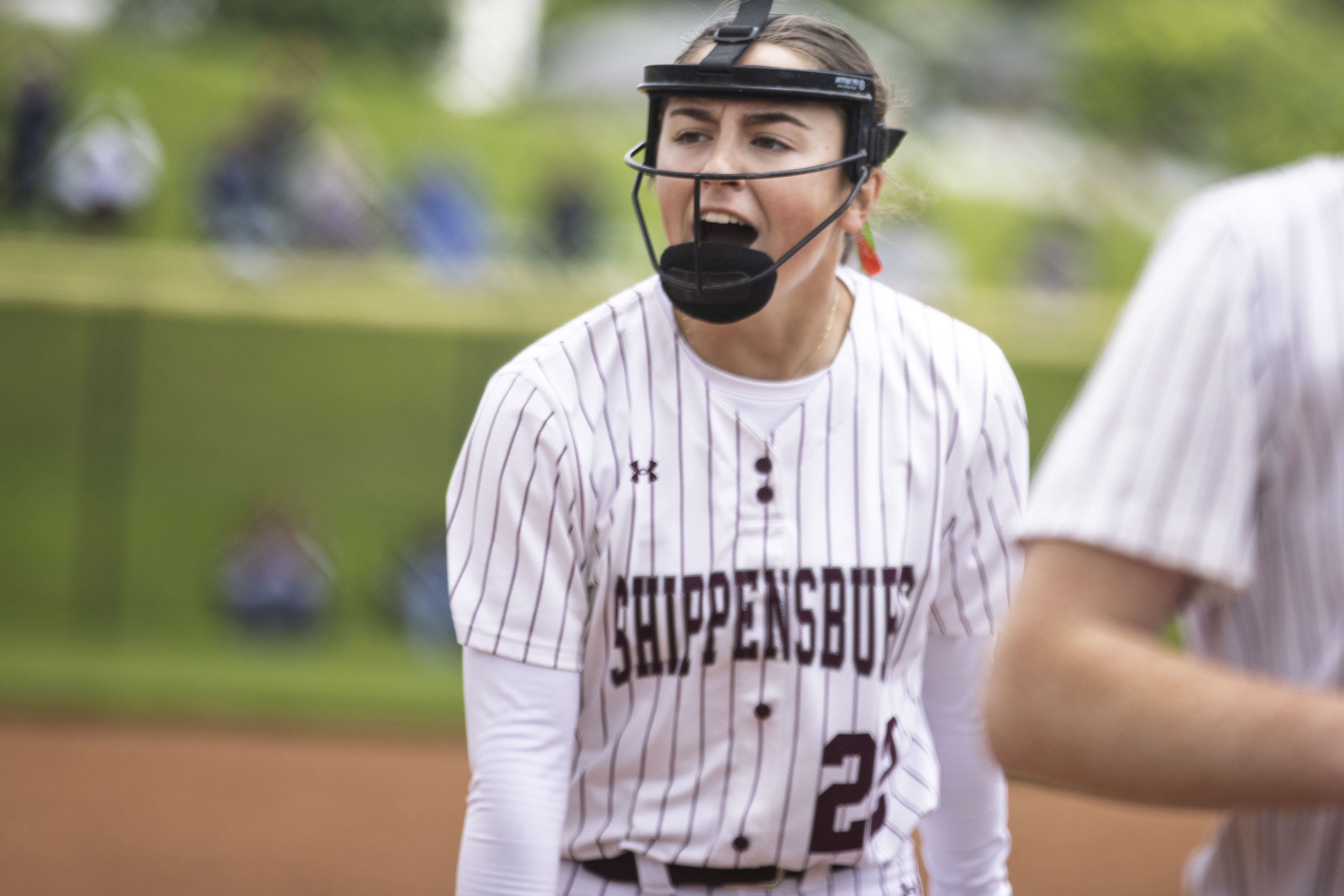 Red Land 7th inning rally overcomes Shippensburg in District.3, 5A ...