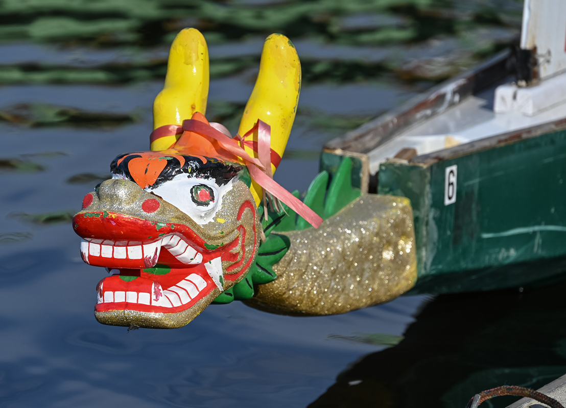 Seen@ Dragon Boat Festival on the Connecticut River in Springfield ...