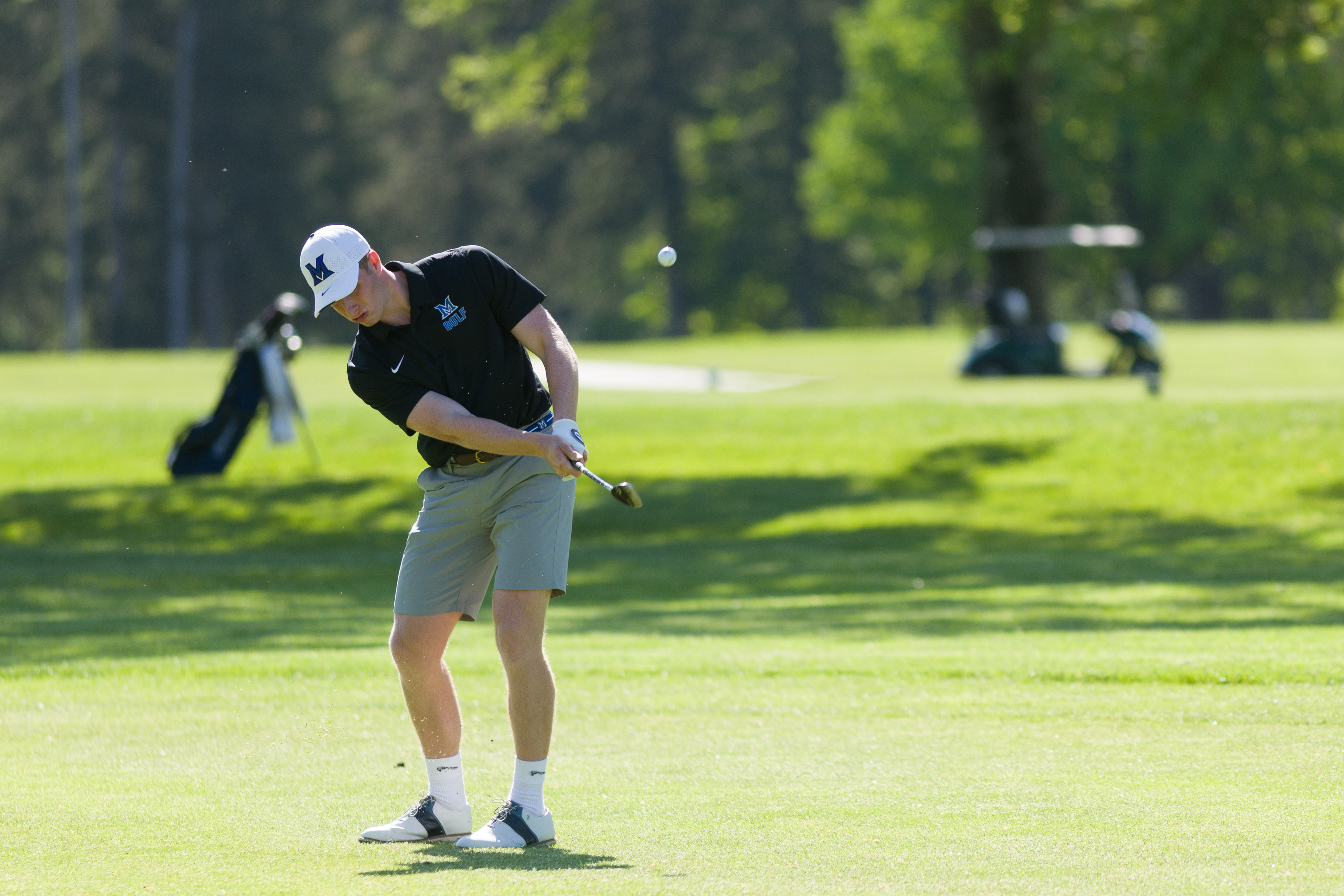 High School Boys Golf: NJSIAA North 1 and 2 State Sectional Tournament ...