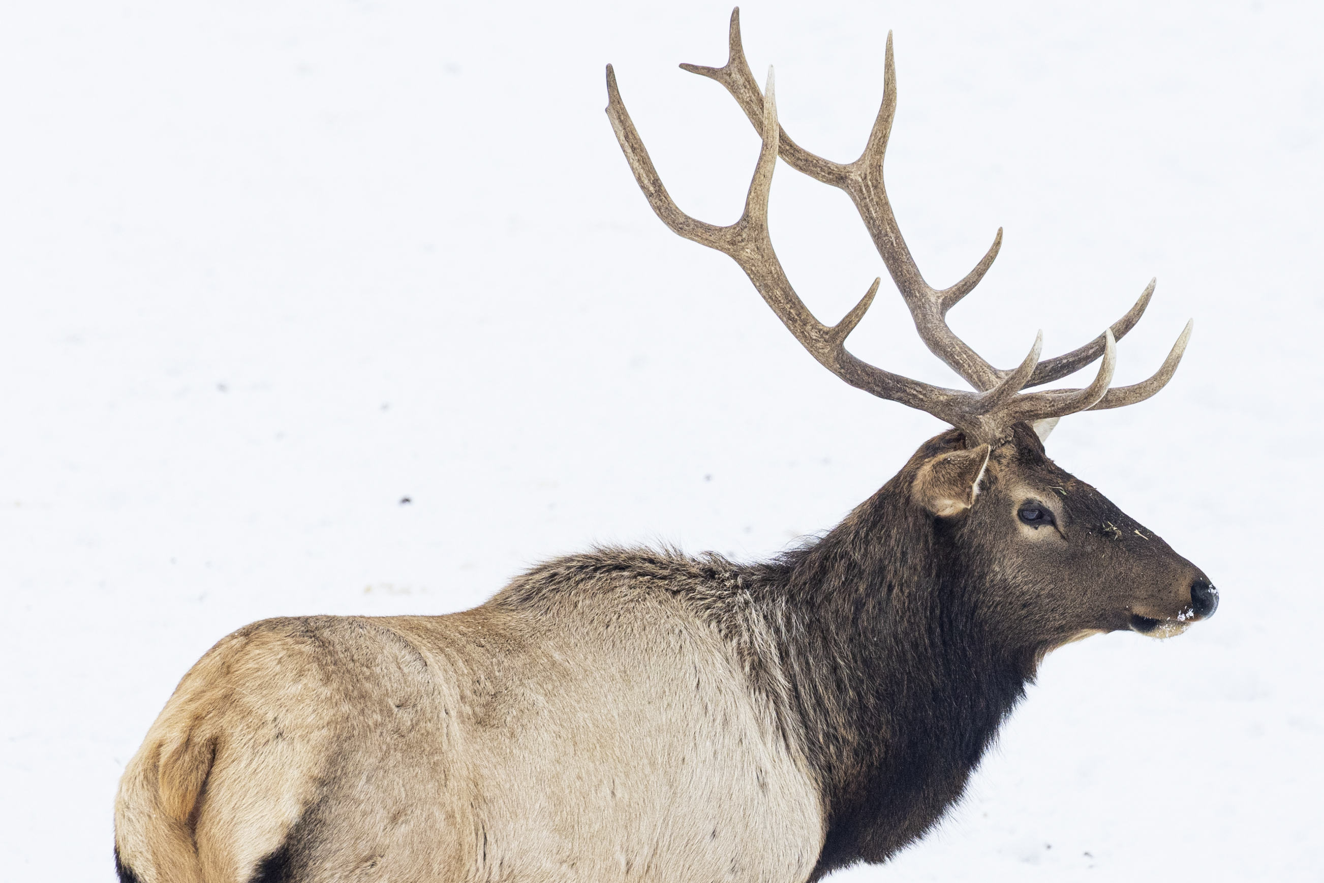 Elk View Park in Gaylord - mlive.com