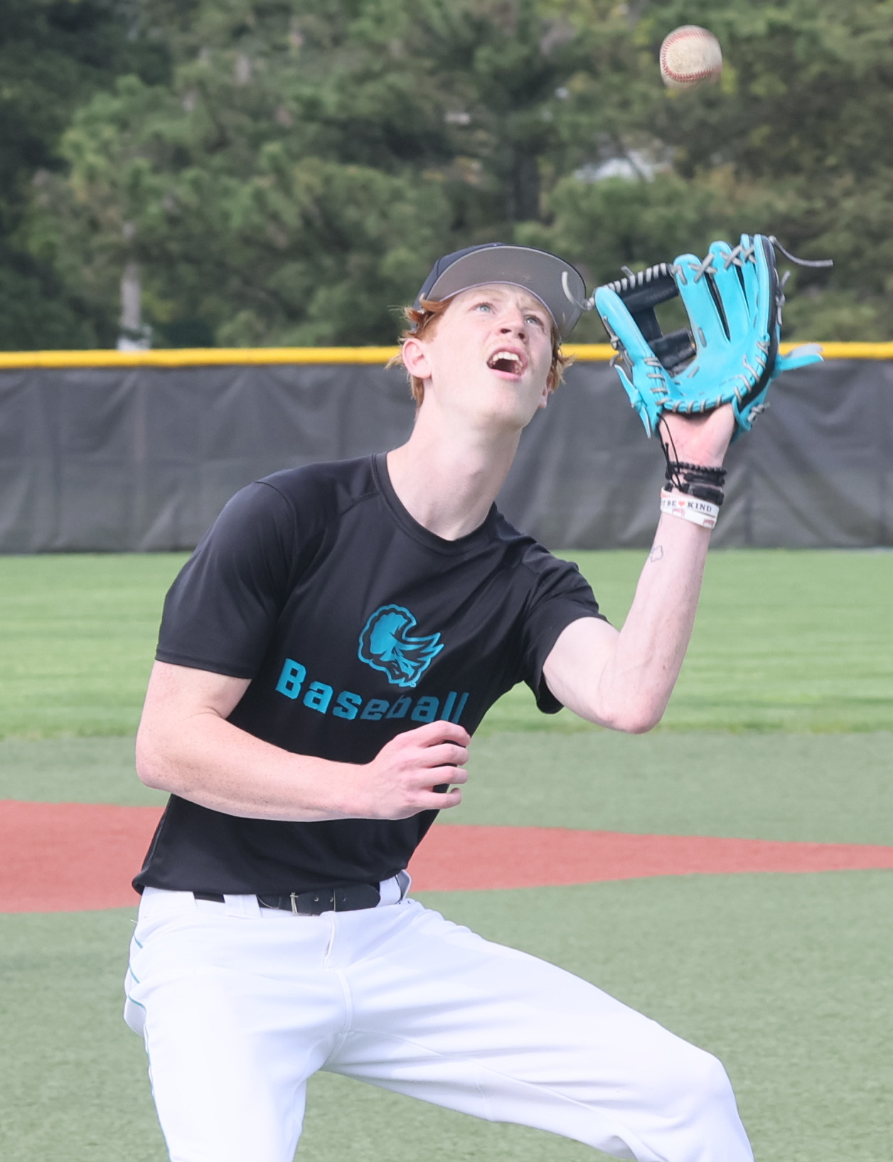 The Tri-C Triceratops baseball team practices before the start of their ...
