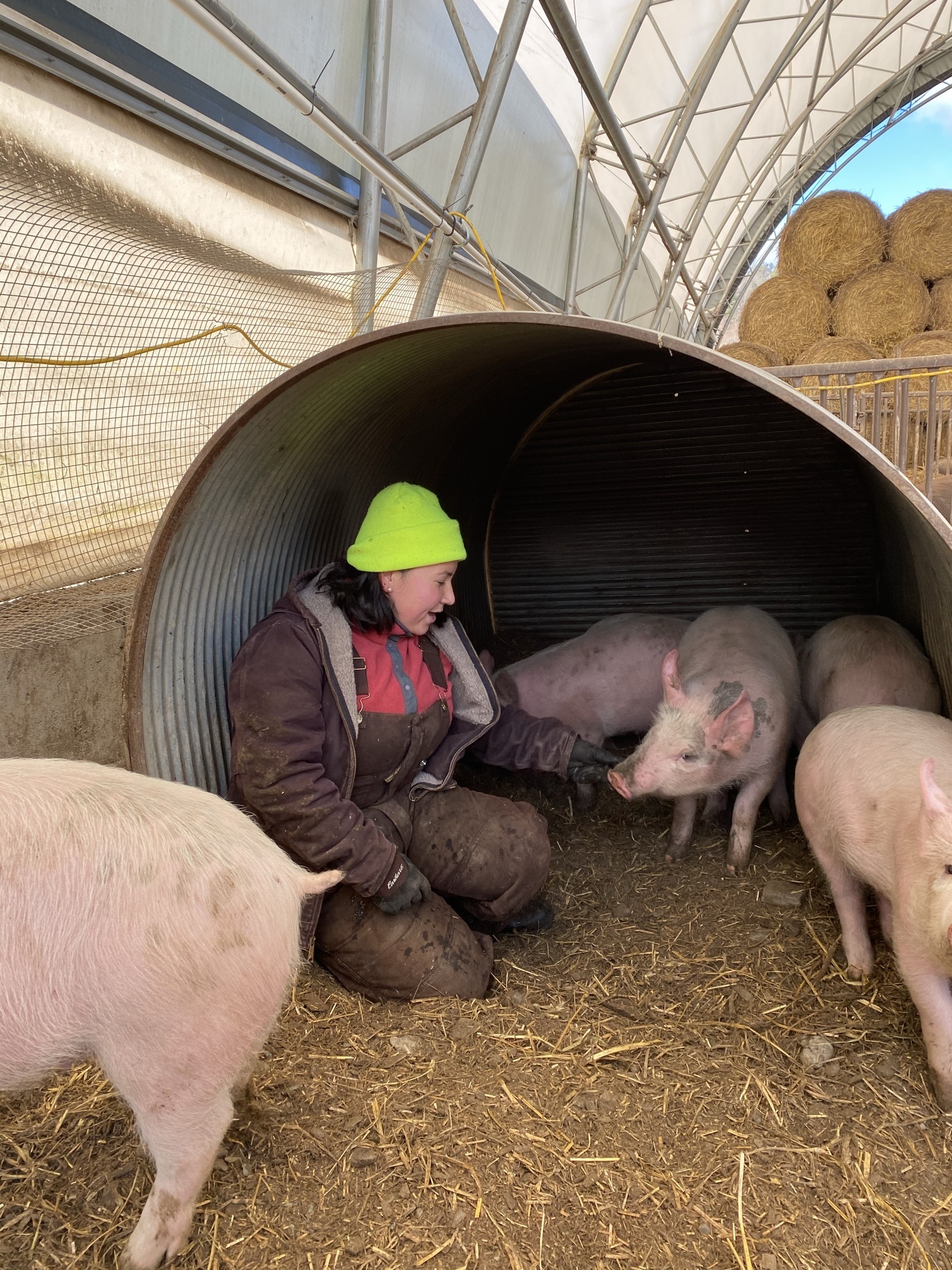 Life on Hawthorne Valley Farm - nj.com