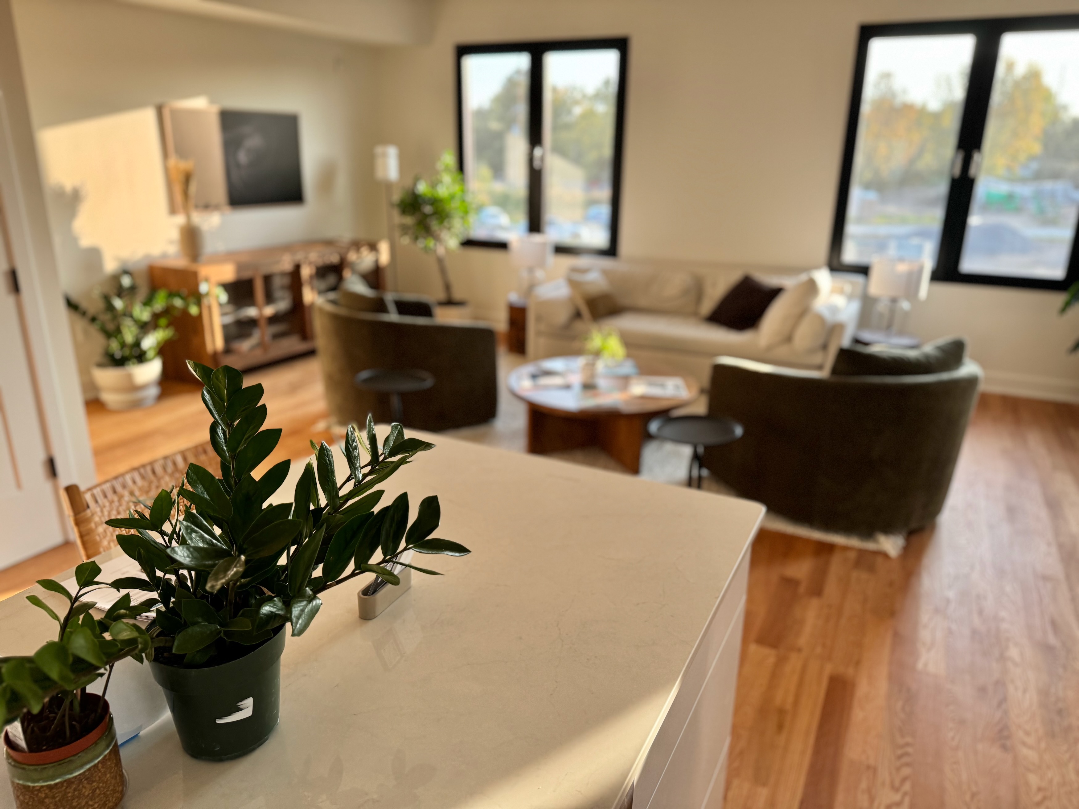 A tour of the Veridian at County Farm eco-friendly housing development ...