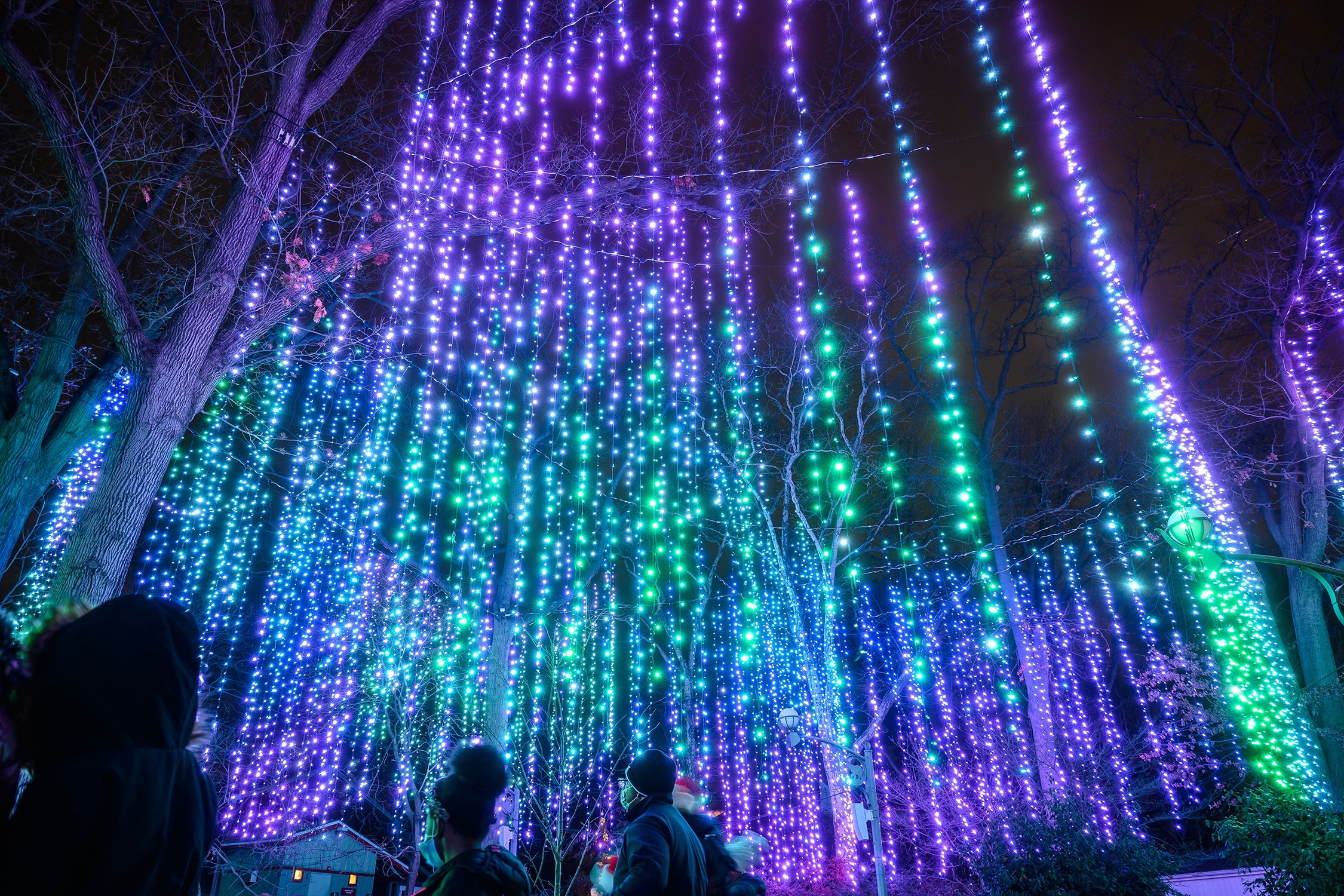The Philadelphia Zoo LumiNature holiday 2022 light show - pennlive.com