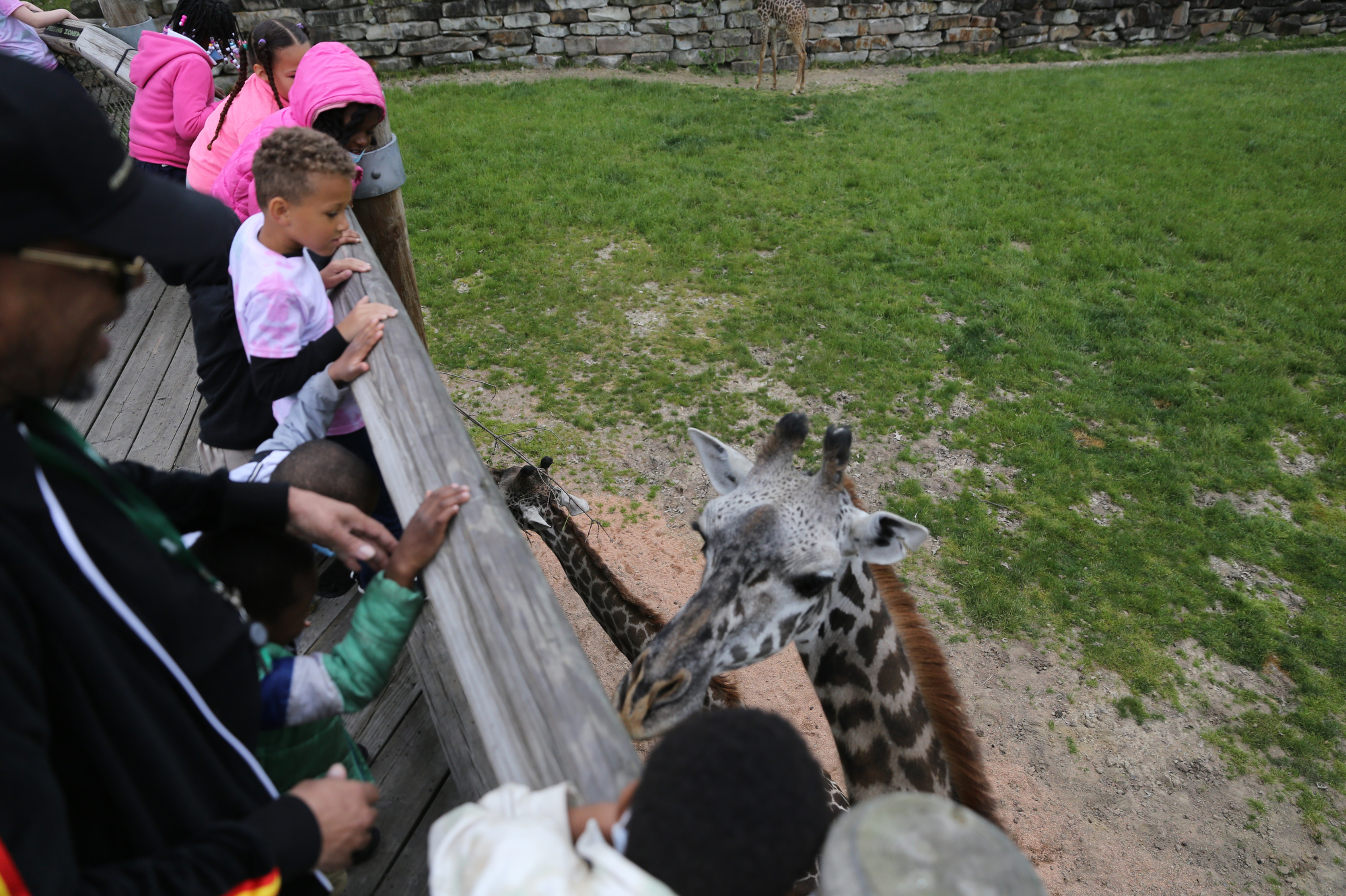 Feeding time at the Cleveland Zoo - cleveland.com