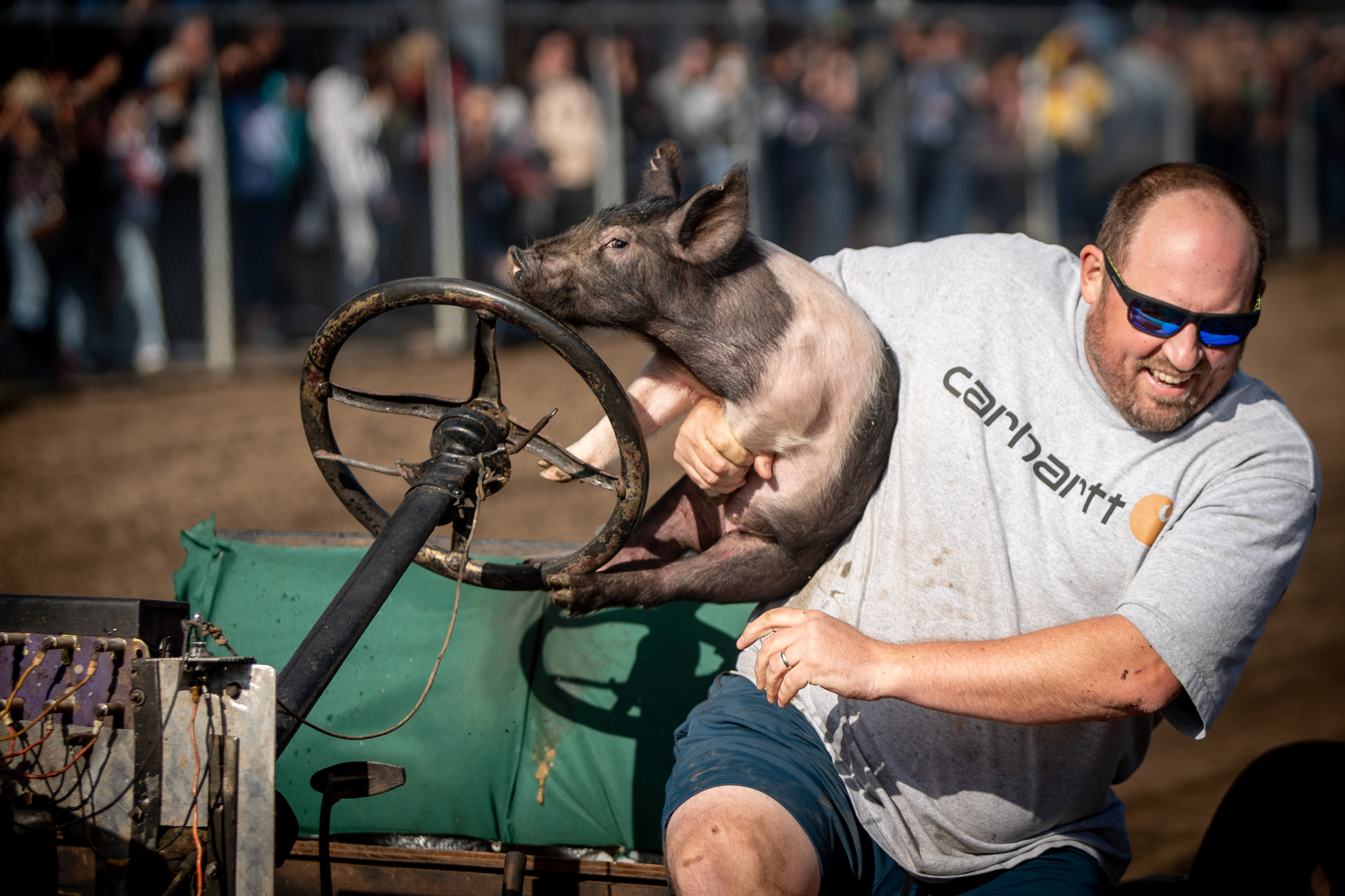 Pig-N-Ford races celebrate centennial at the Tillamook County Fair ...
