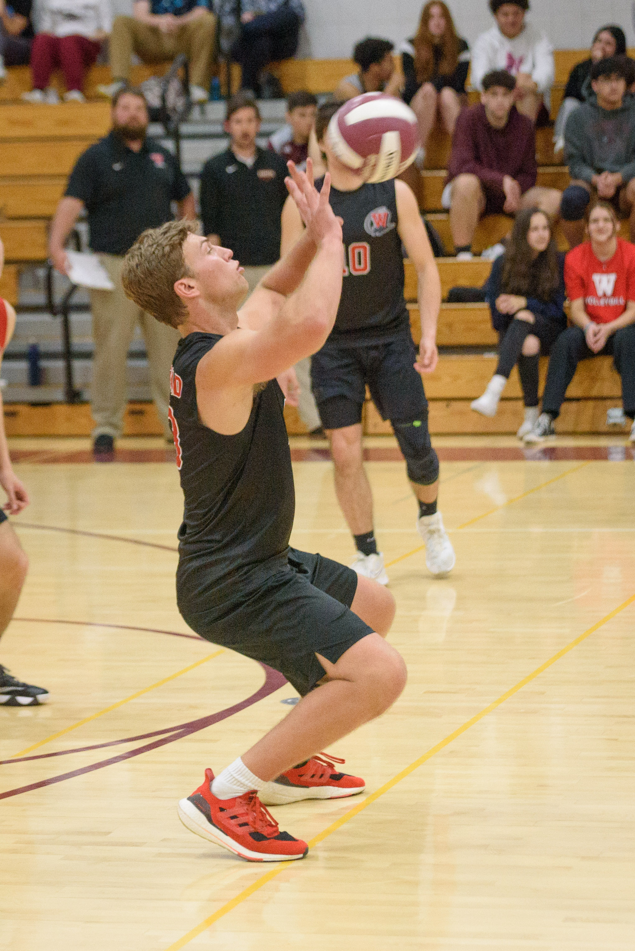 Westfield High vs Ludlow High Varsity Volleyball - masslive.com
