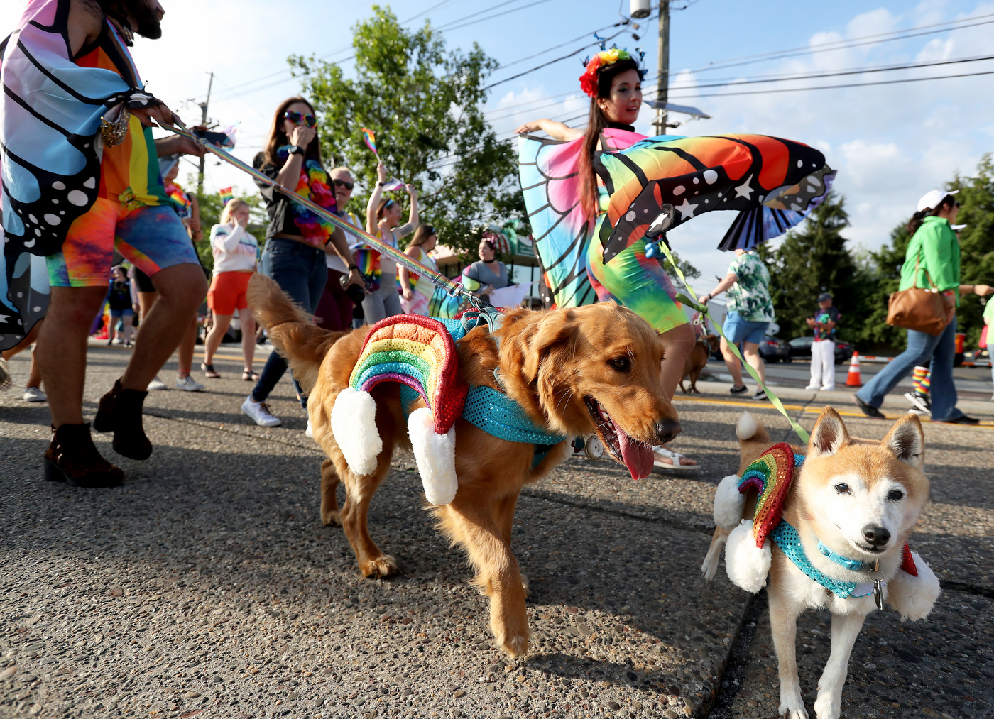Haddon Township Pride Parade, June 10, 2021 - nj.com