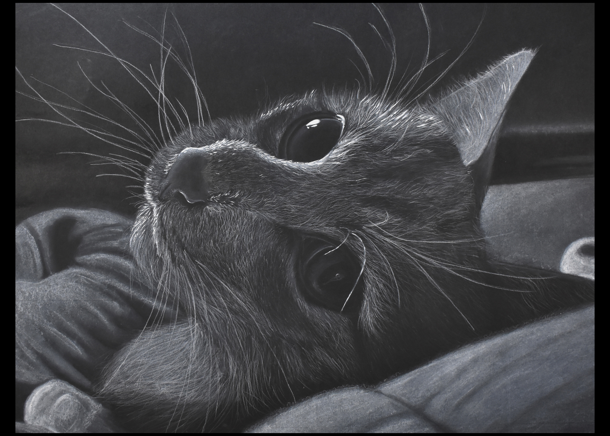2025 CNY Scholastic Art Awards: Drawing & Illustration - syracuse.com