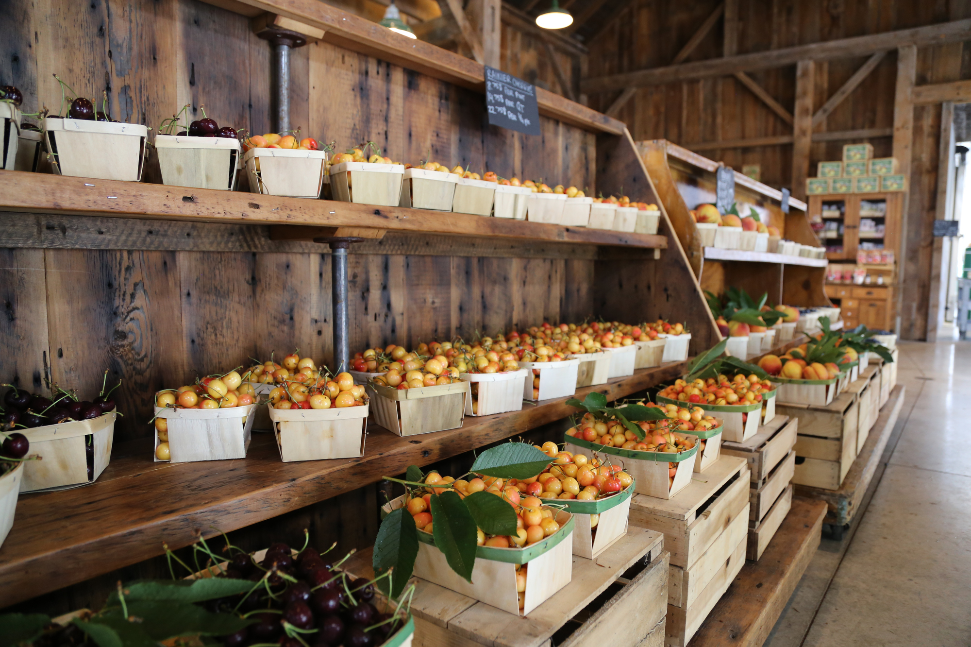Quarry Hill Orchard in Berlin Heights - cleveland.com