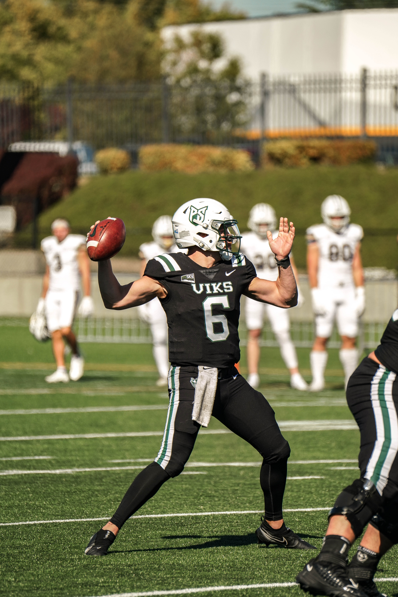 Portland State Vikings football vs. Montana State Bobcats - oregonlive.com