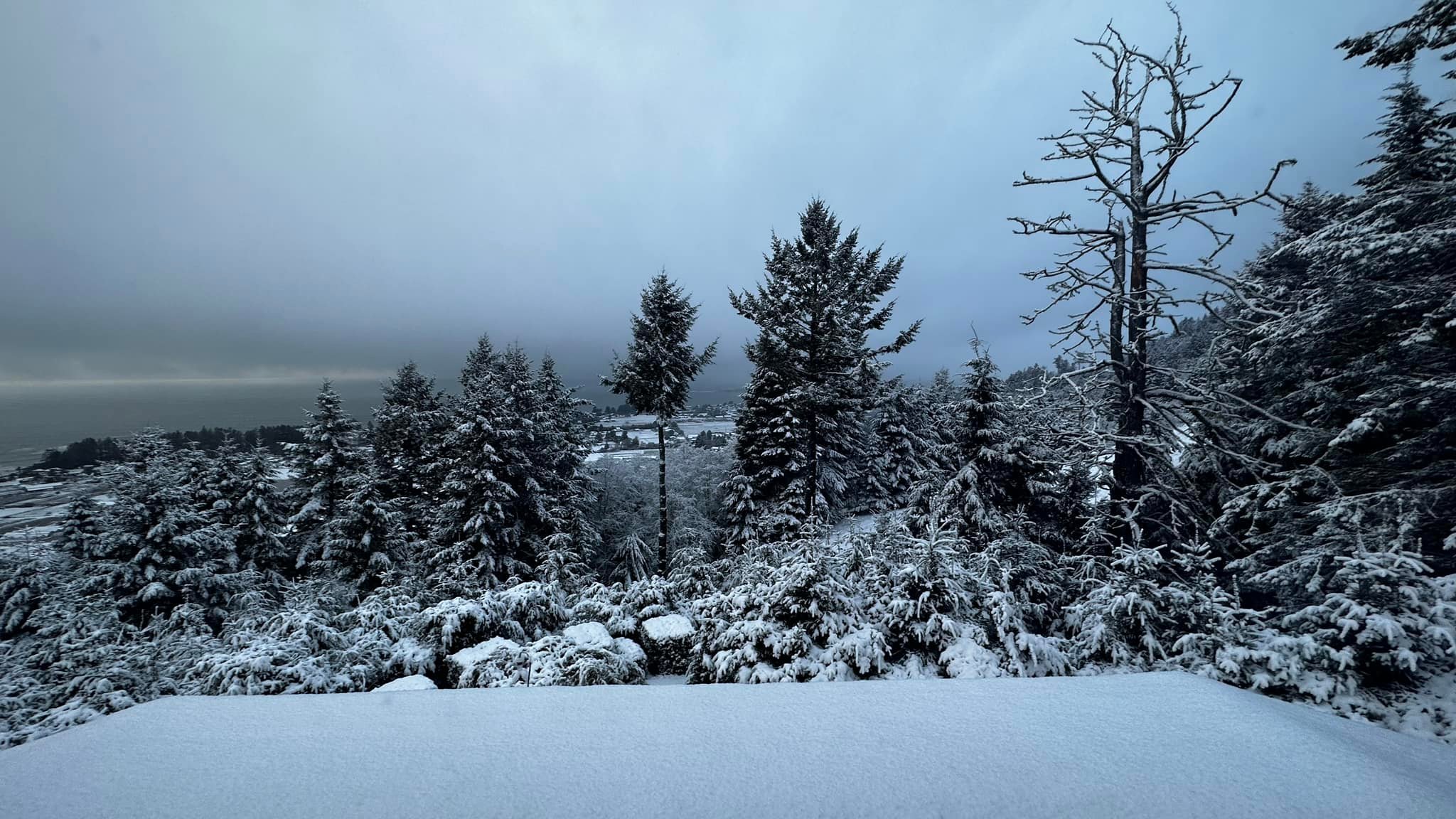 Rare snowfall hits Oregon coast - oregonlive.com
