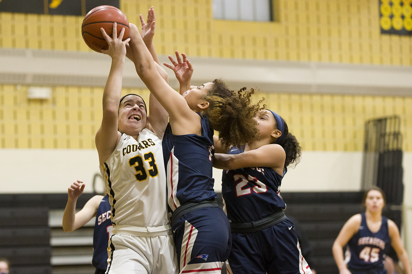 Girls Basketball: Secaucus vs. Cresskill - nj.com
