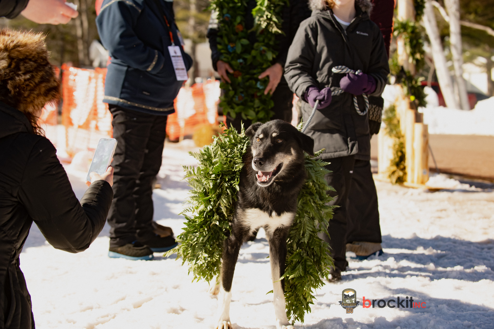 2023 CopperDog 150 sled dog race in Michigan's U.P. - mlive.com