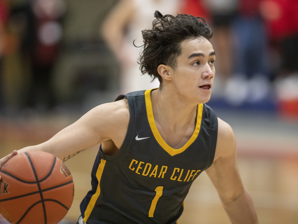 Cedar Cliff boys blow out Red Land 60-24 - pennlive.com