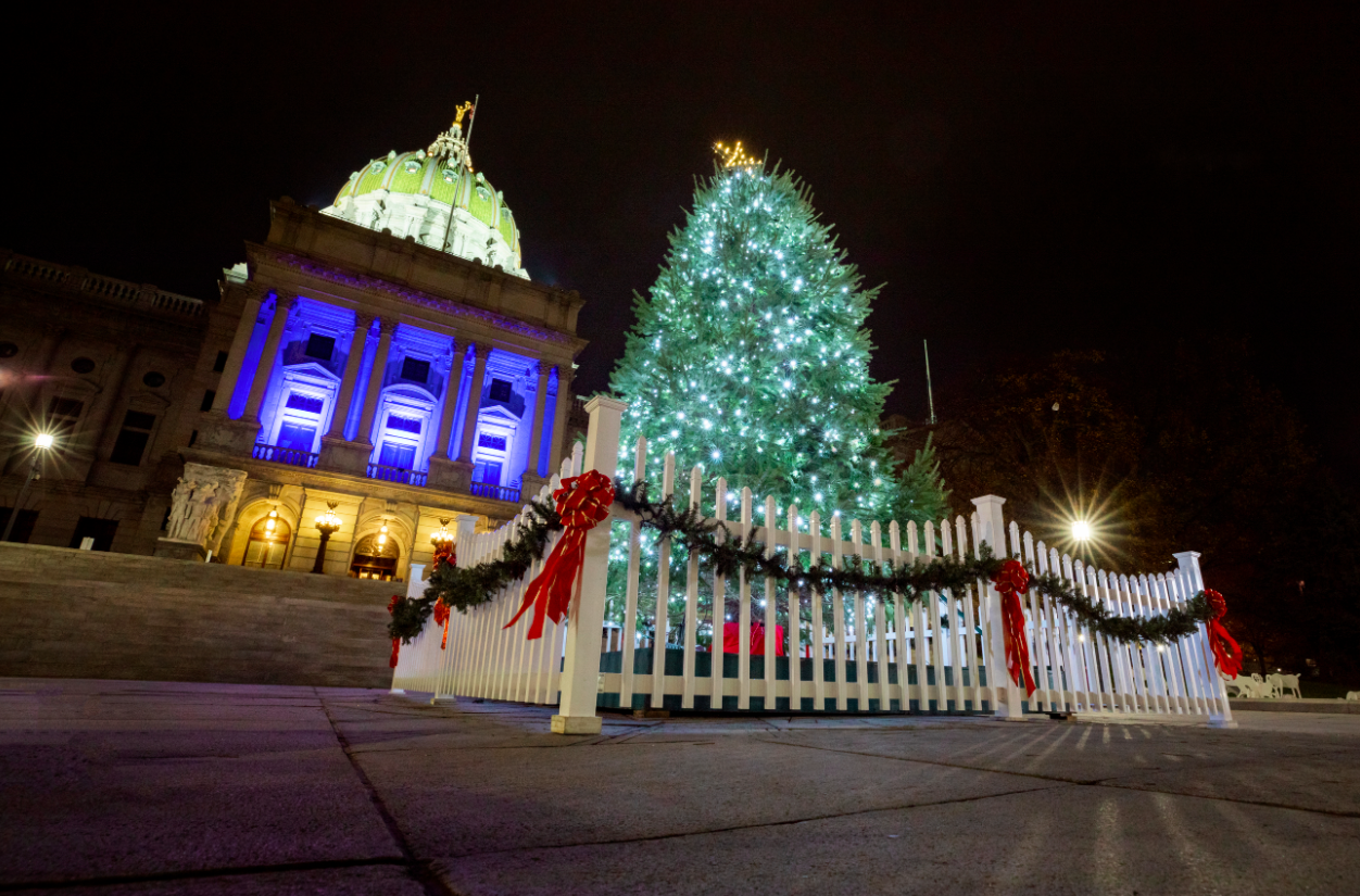 Lighting of 2020 Pa. Capitol Christmas tree - pennlive.com