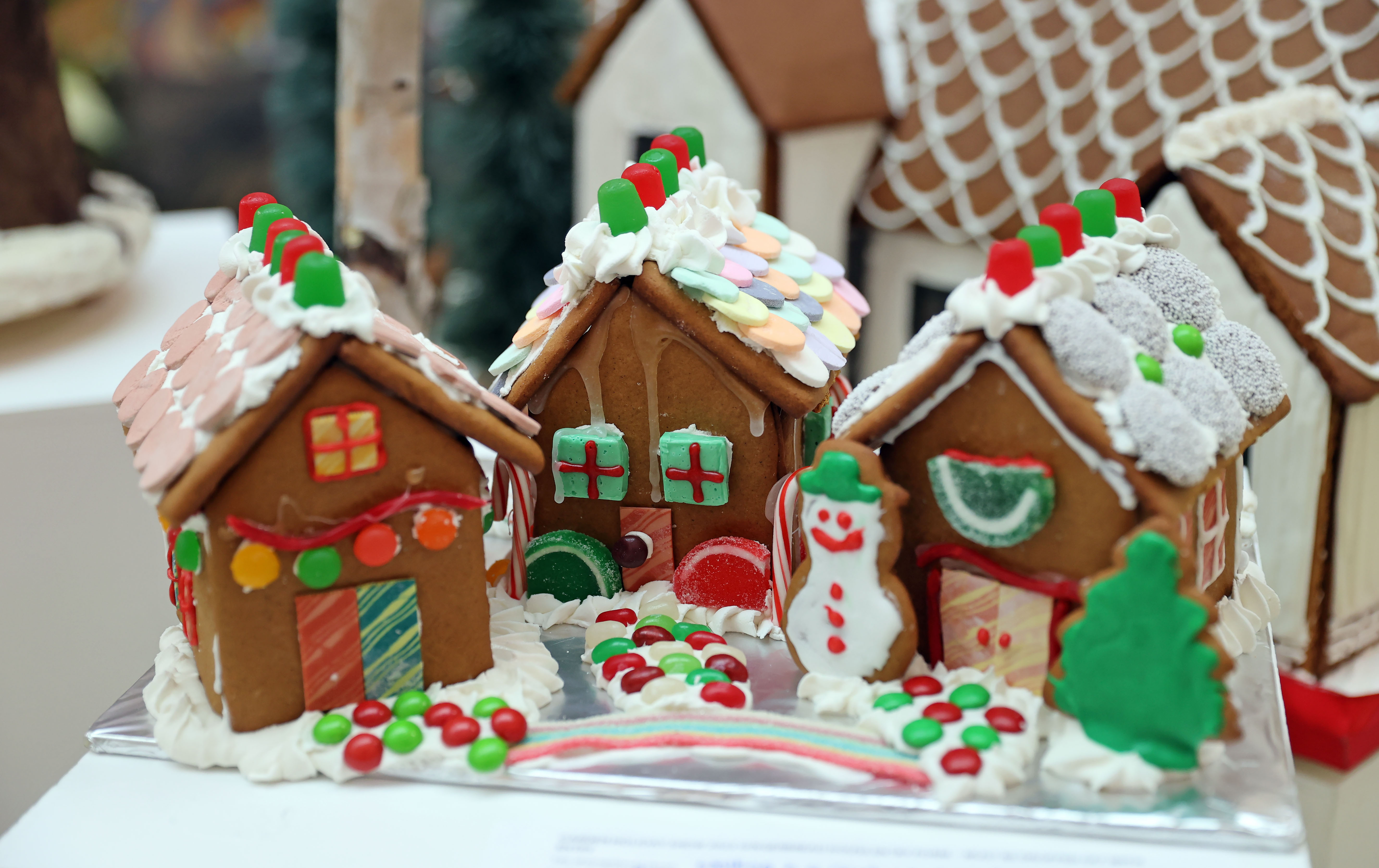 Gingerbread displays at Cleveland Botanical Garden, November 17, 2022 ...