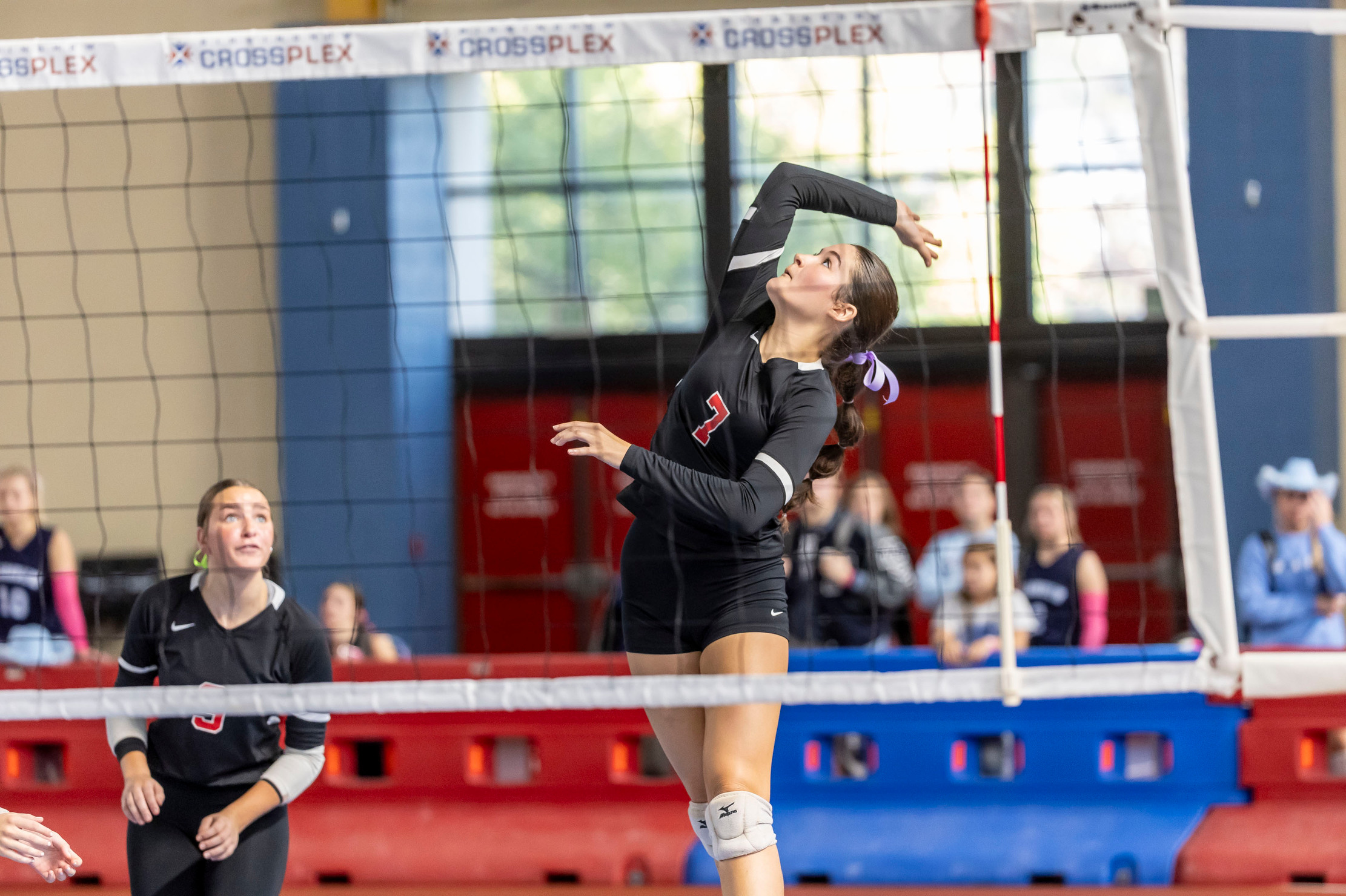 AHSAA Volleyball Elite Eight - al.com
