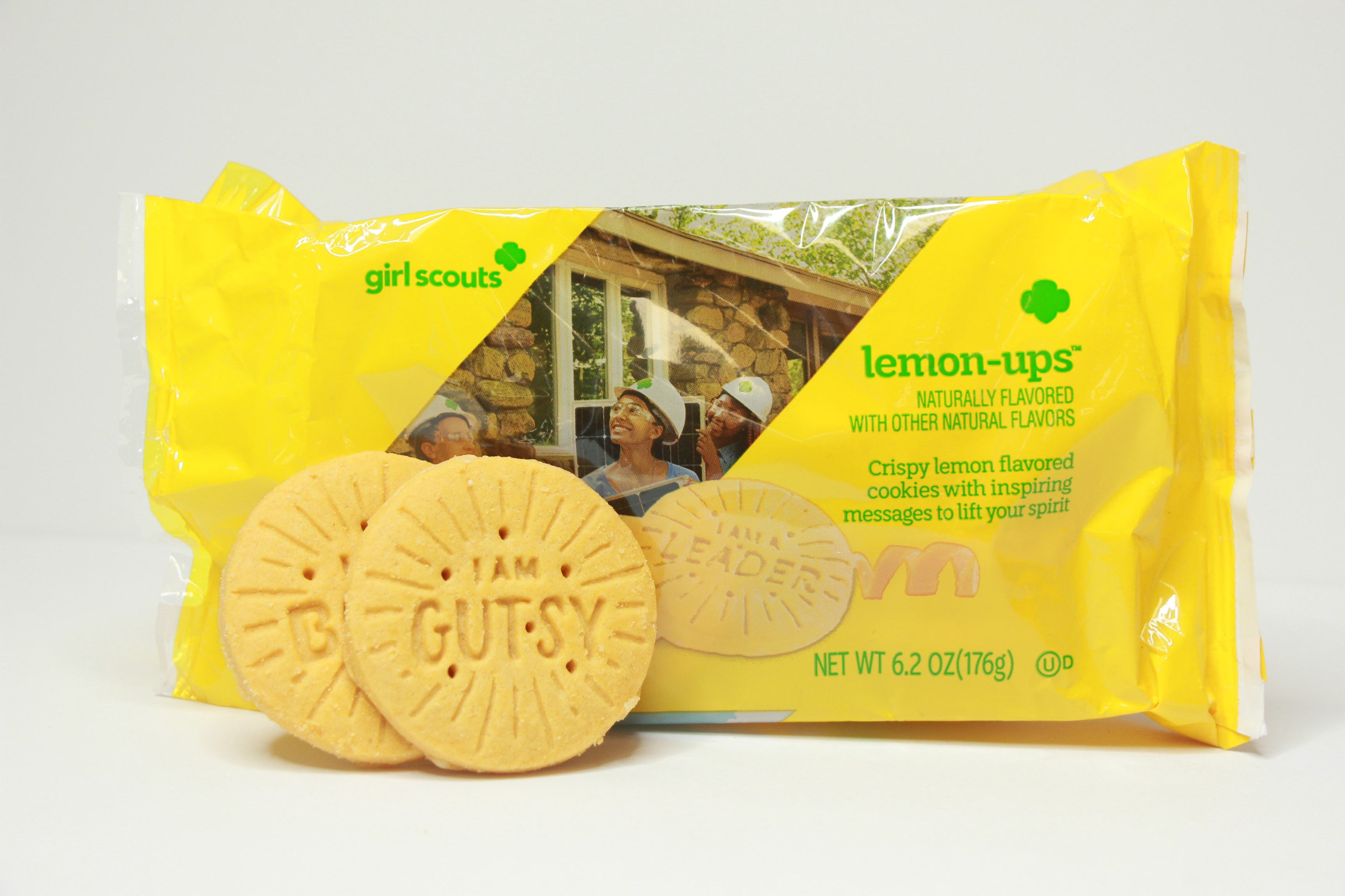 All 13 Girl Scout Cookie Flavors - masslive.com