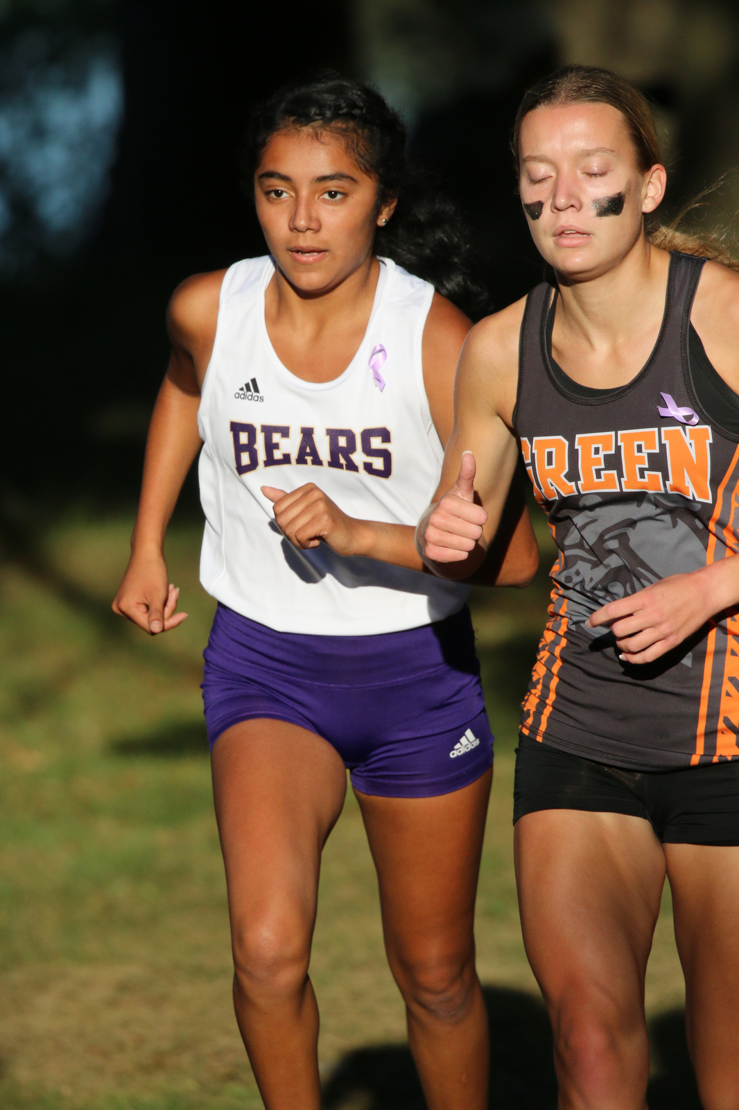 62nd annual Paul Primeau Cross Country meet at Gilmour Academy ...