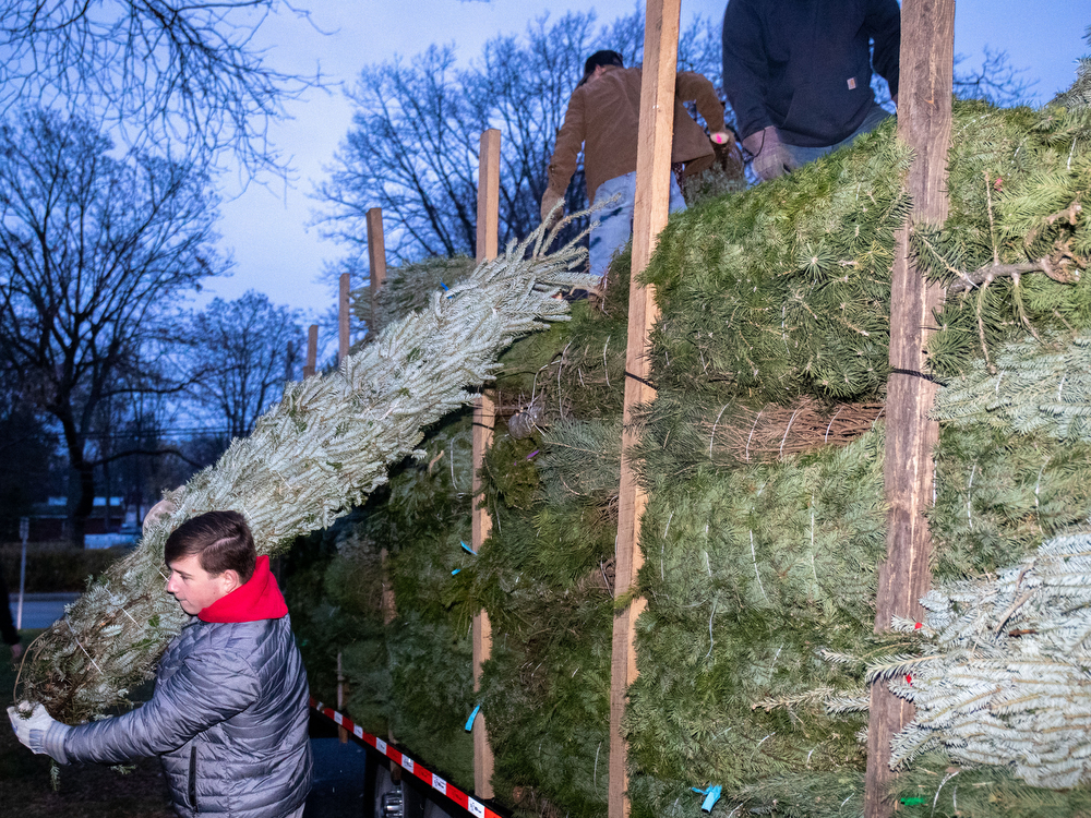 Mechanicsburg Scout troop Christmas Tree sale hits 40 years - pennlive.com
