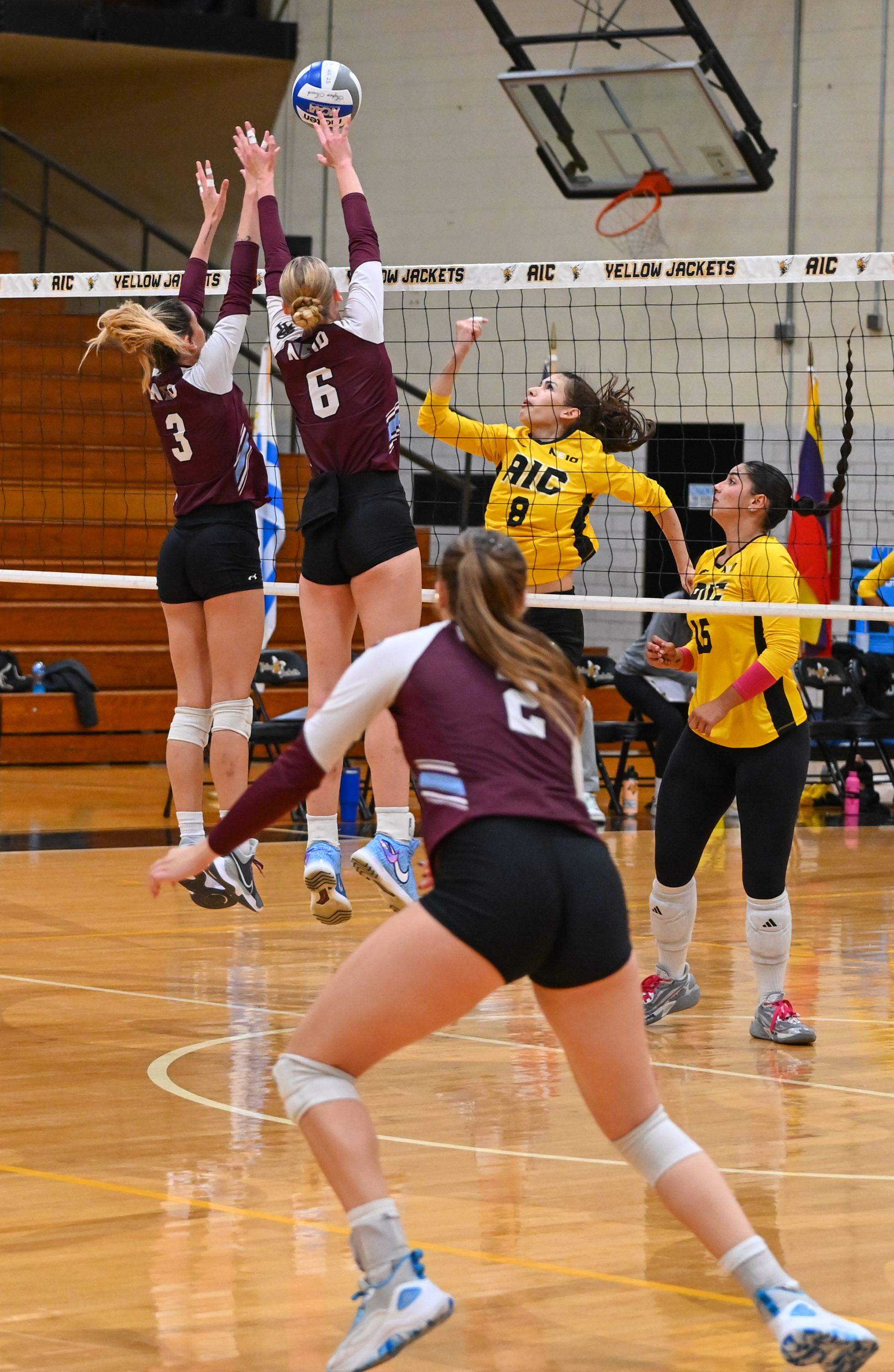 AIC women’s volleyball game a celebration of culture, competition ...