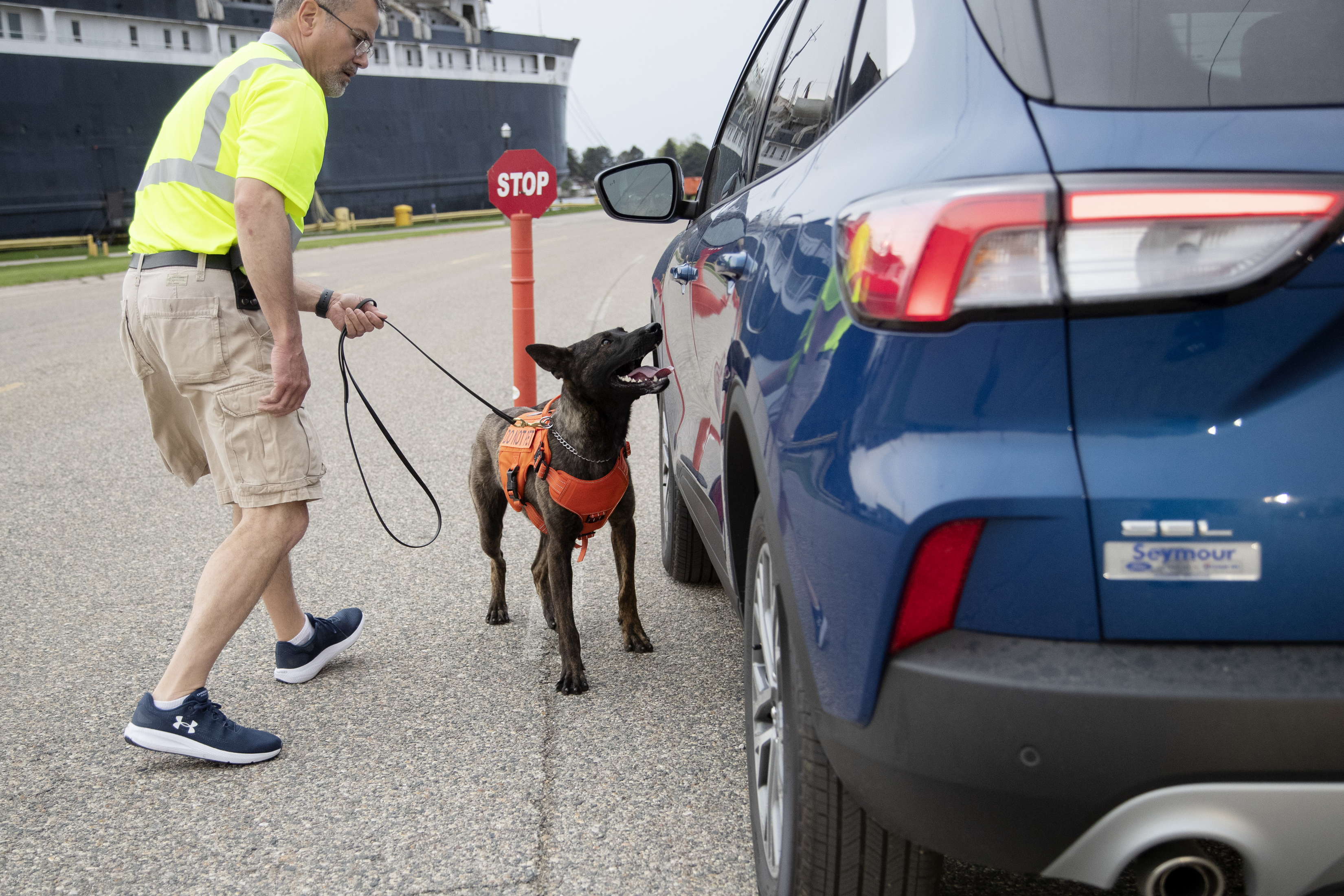 Meet Hans and Greta, the S.S. Badger's new K9s - mlive.com