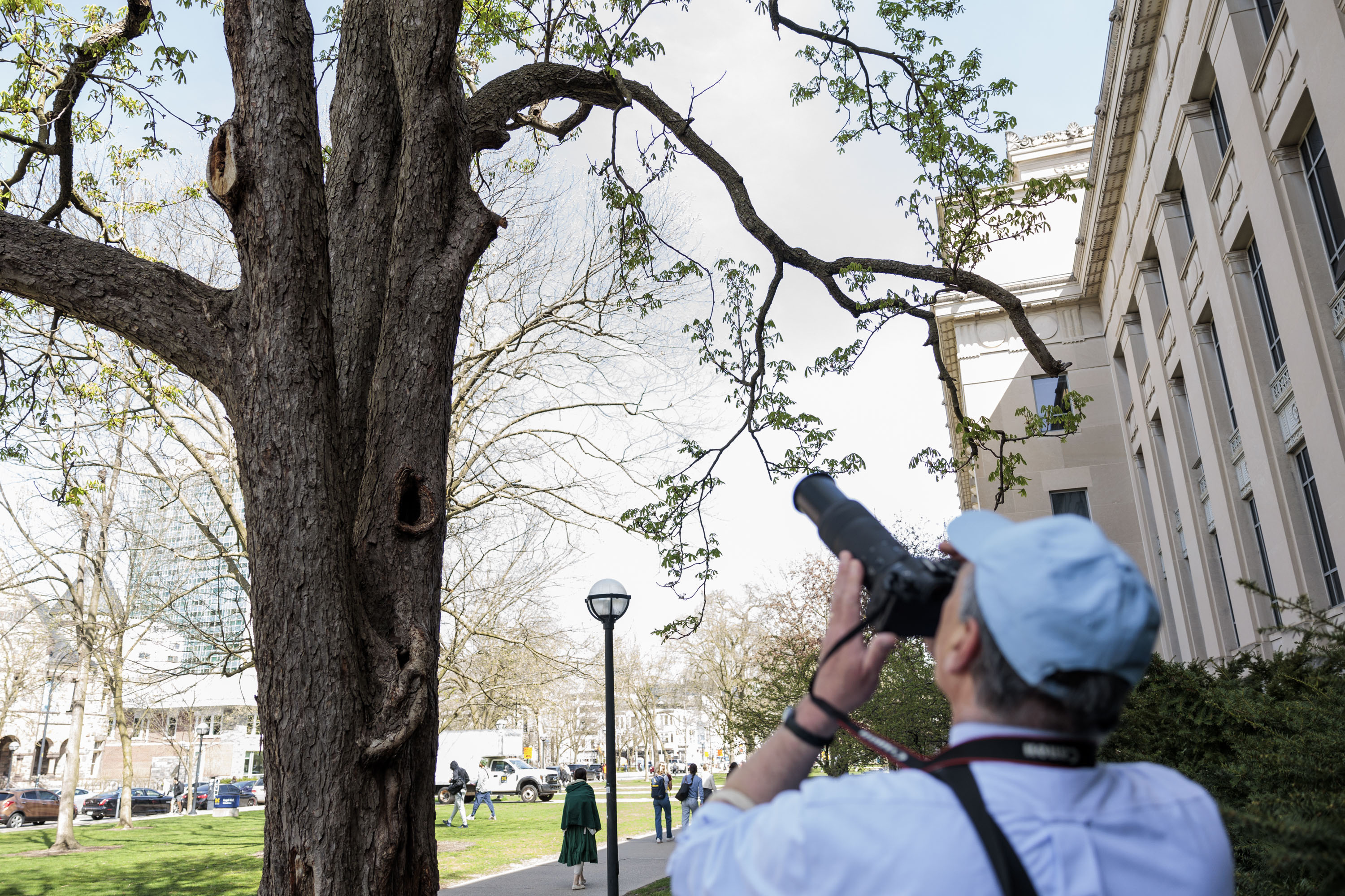 Corey Seeman helps squirrels across University of Michigan central ...