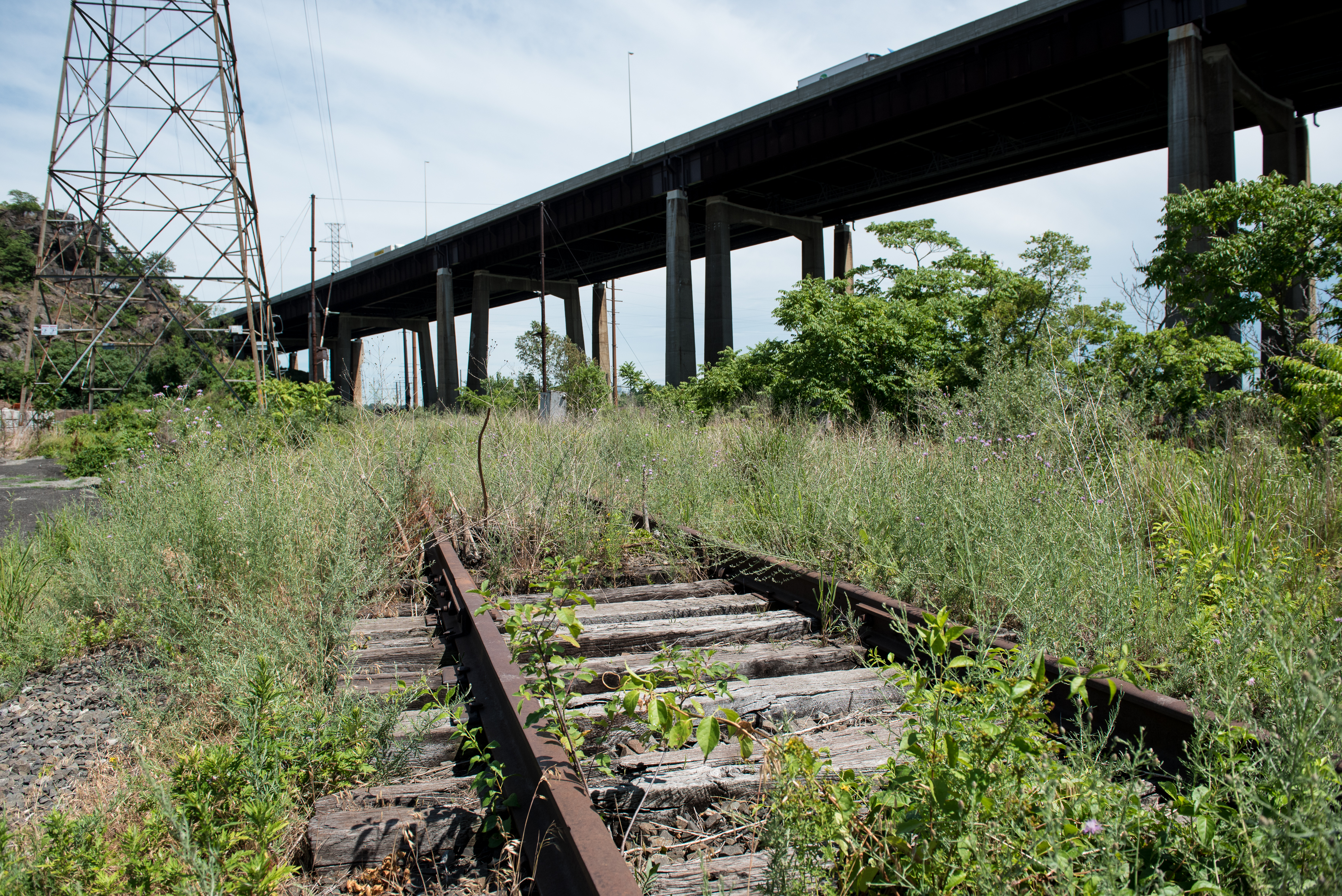Essex-Hudson Greenway - nj.com
