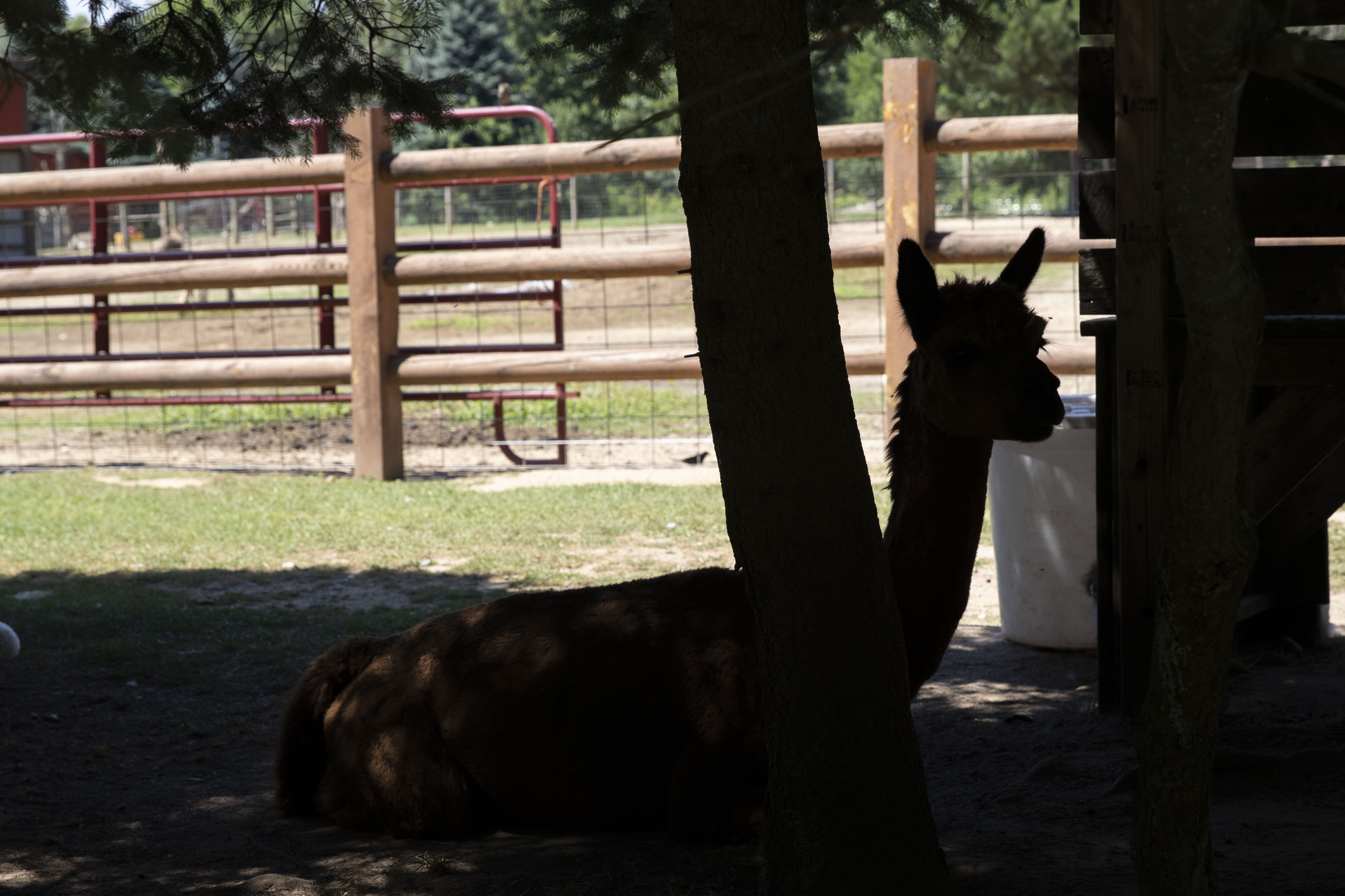 Lowry's Little Flock expanded its offerings last year with a small ...