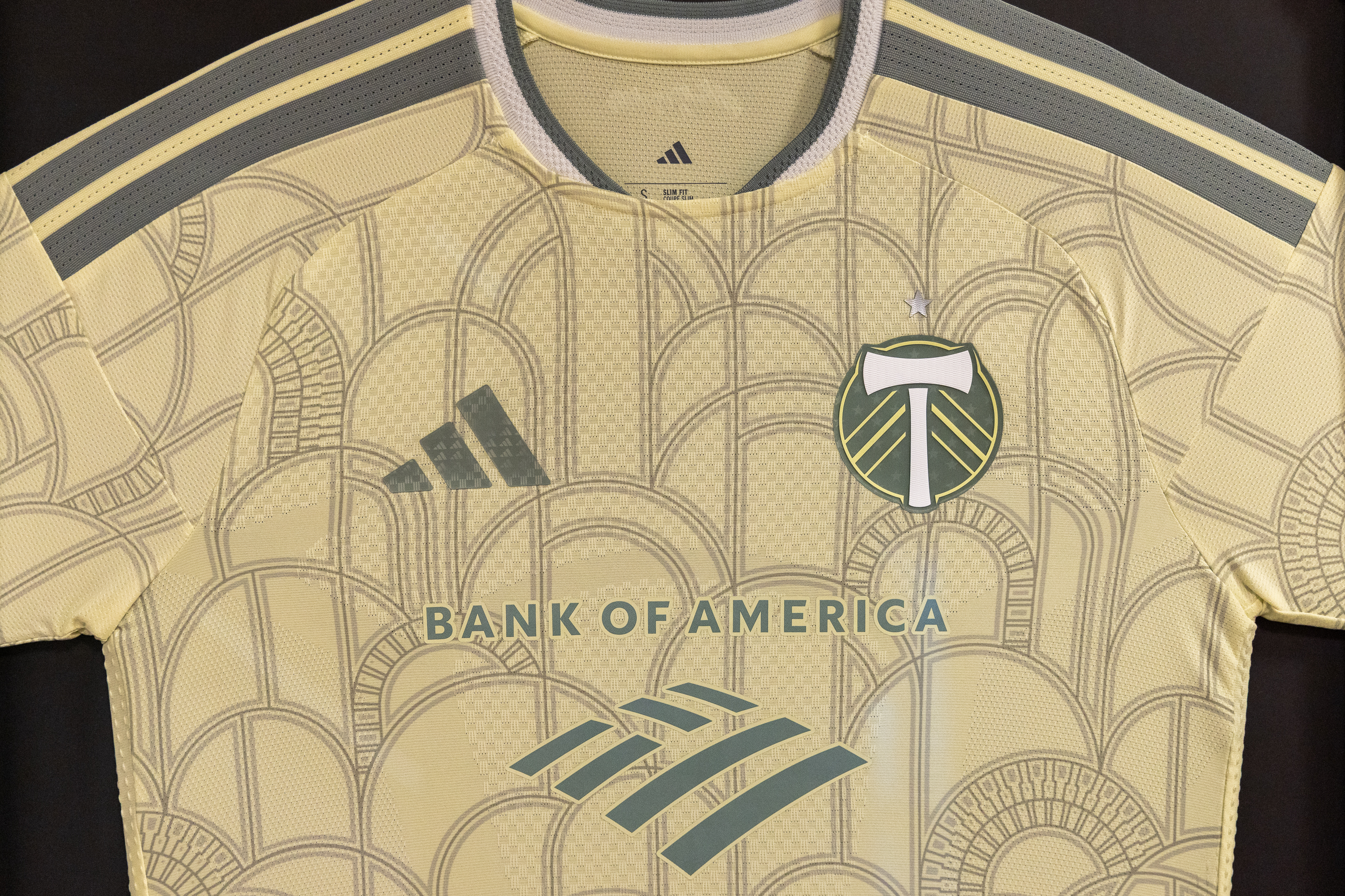 Portland Timbers Providence Park kit - oregonlive.com