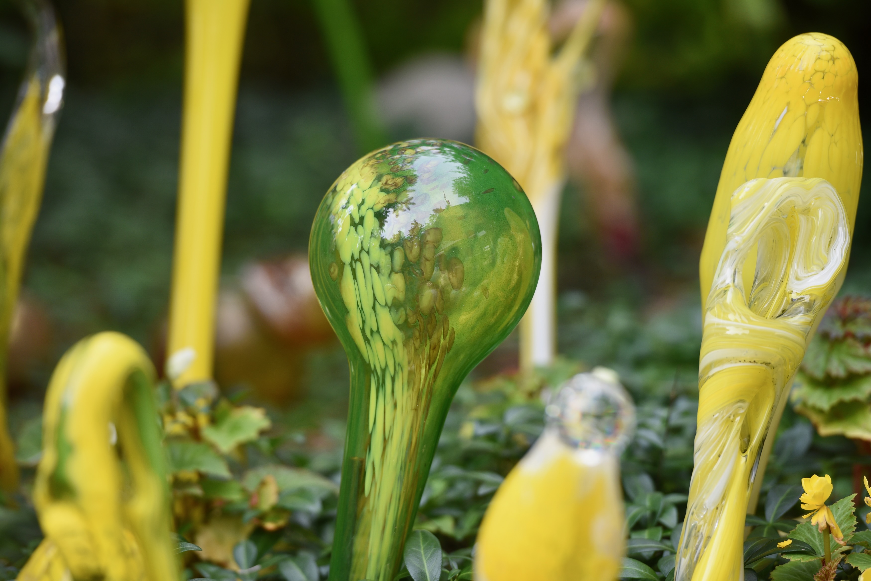 Ann Arbor artist Larry Nisson's glass artwork and backyard garden ...