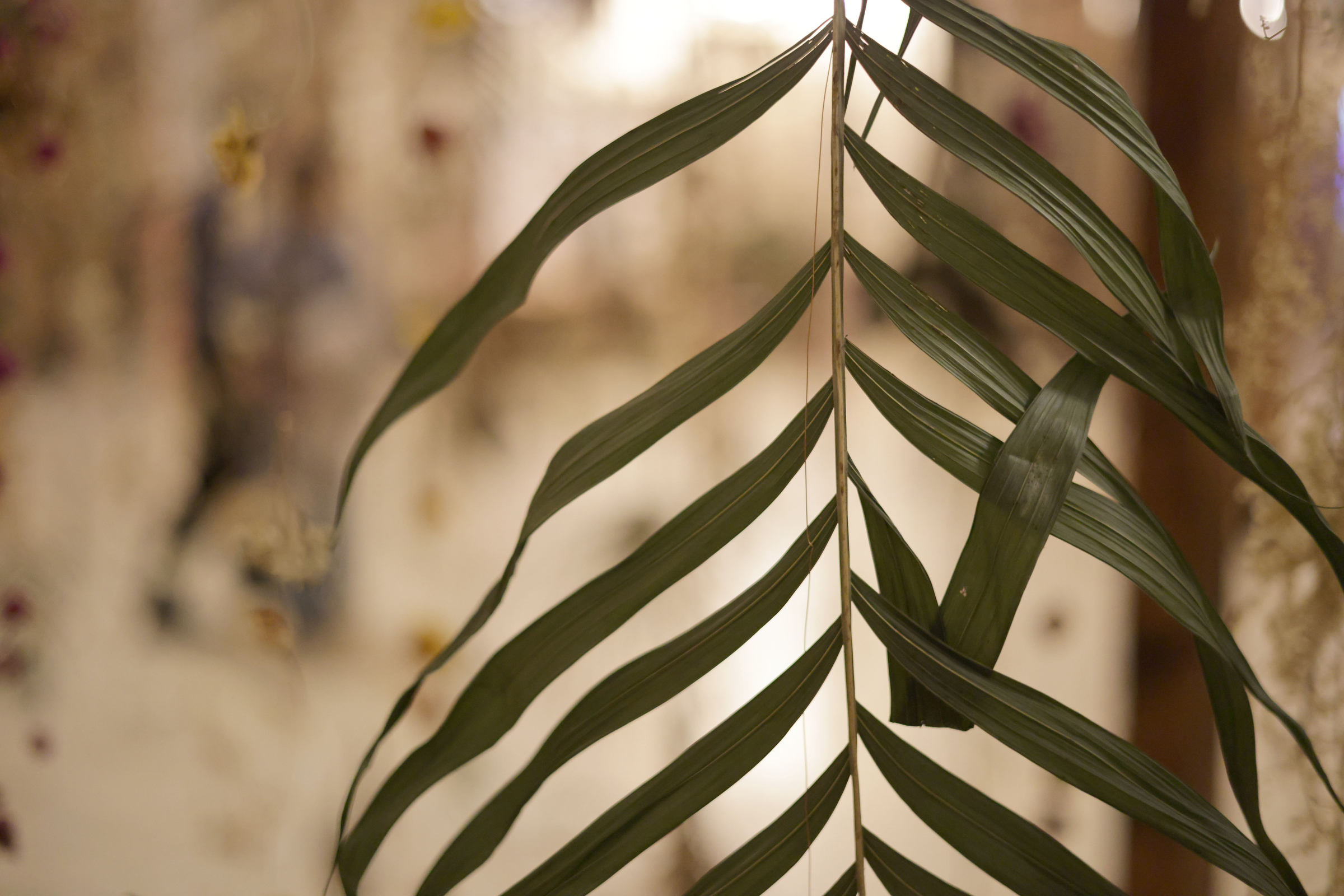 "The Archive" floral exhibit on display in Cleveland - cleveland.com