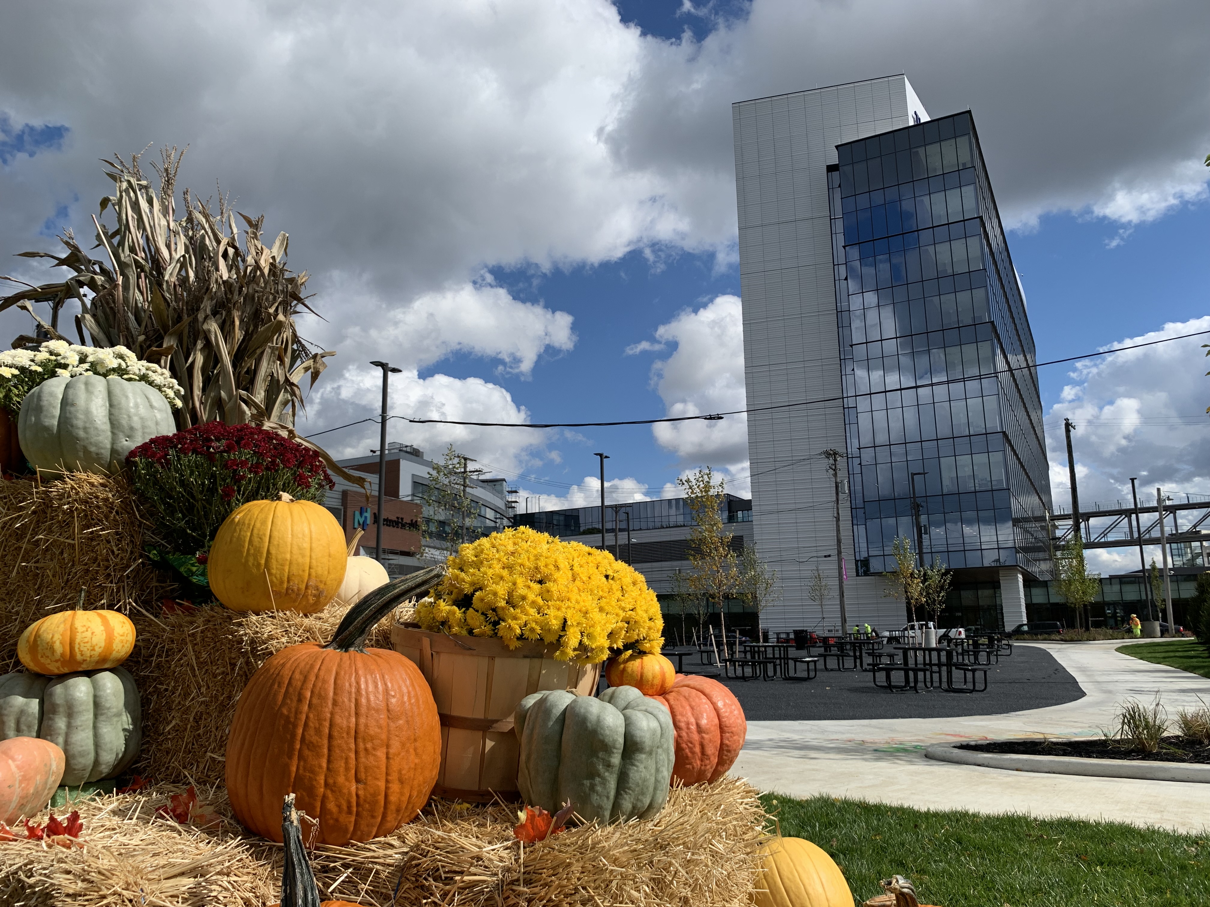 MetroHealth dials back on 'hospital in a park' vision - cleveland.com