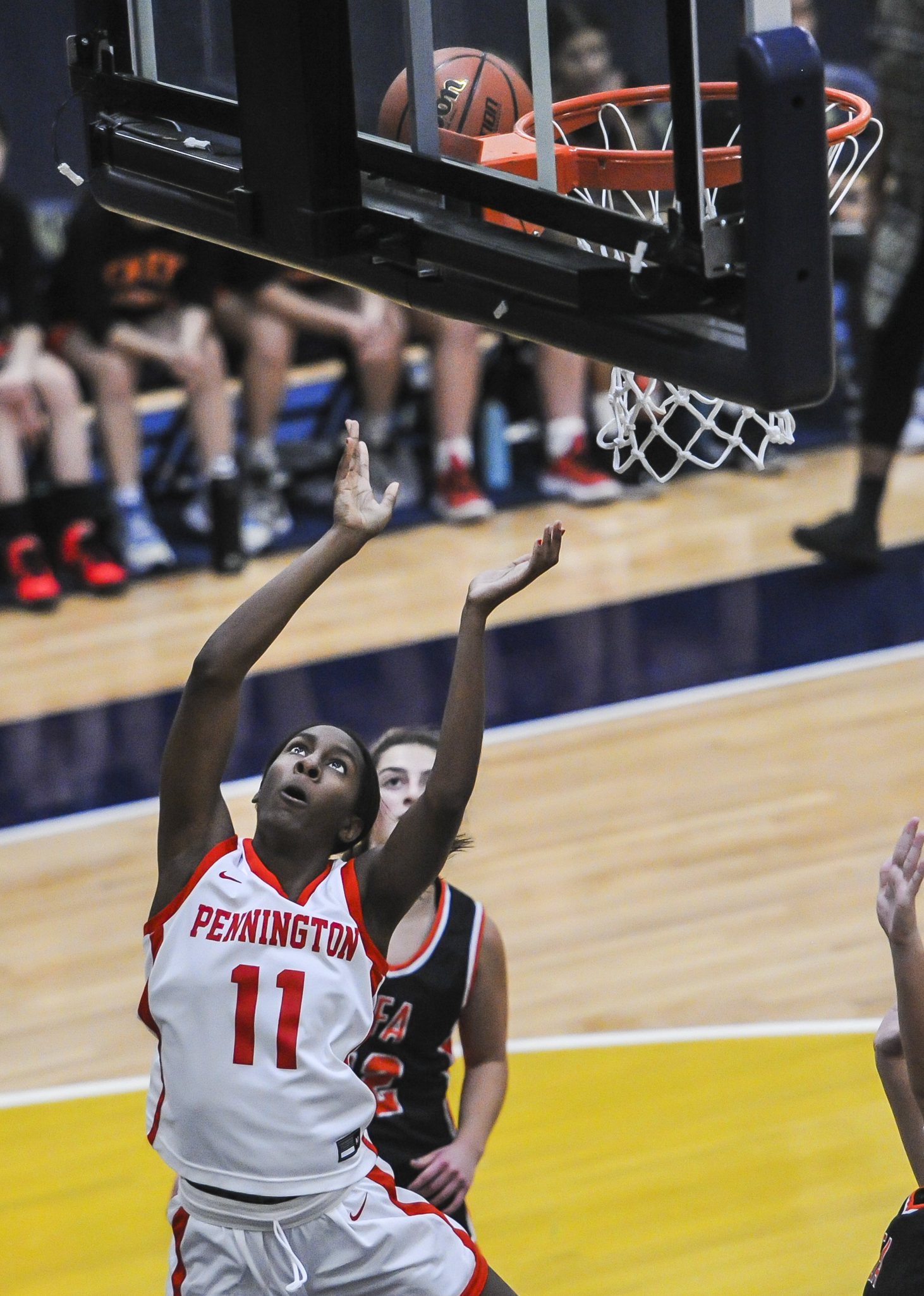 Lake Forest vs. Pennington Girls Basketball - nj.com