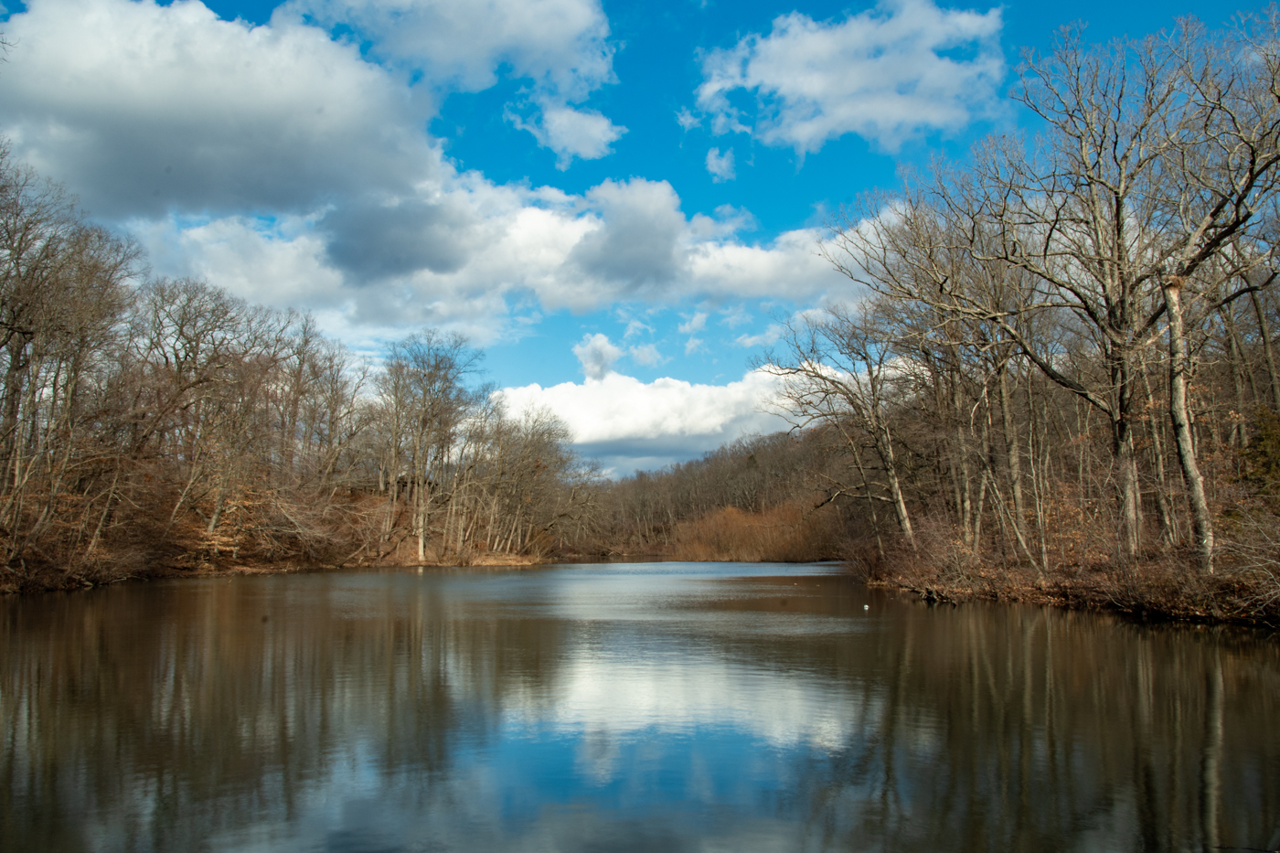 Hyperlocal Watchung Reservation - nj.com