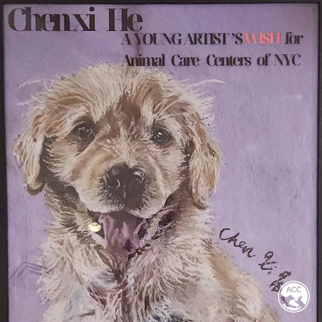 16-year-old artist raises $1,500 for animal shelter through inspiring ...