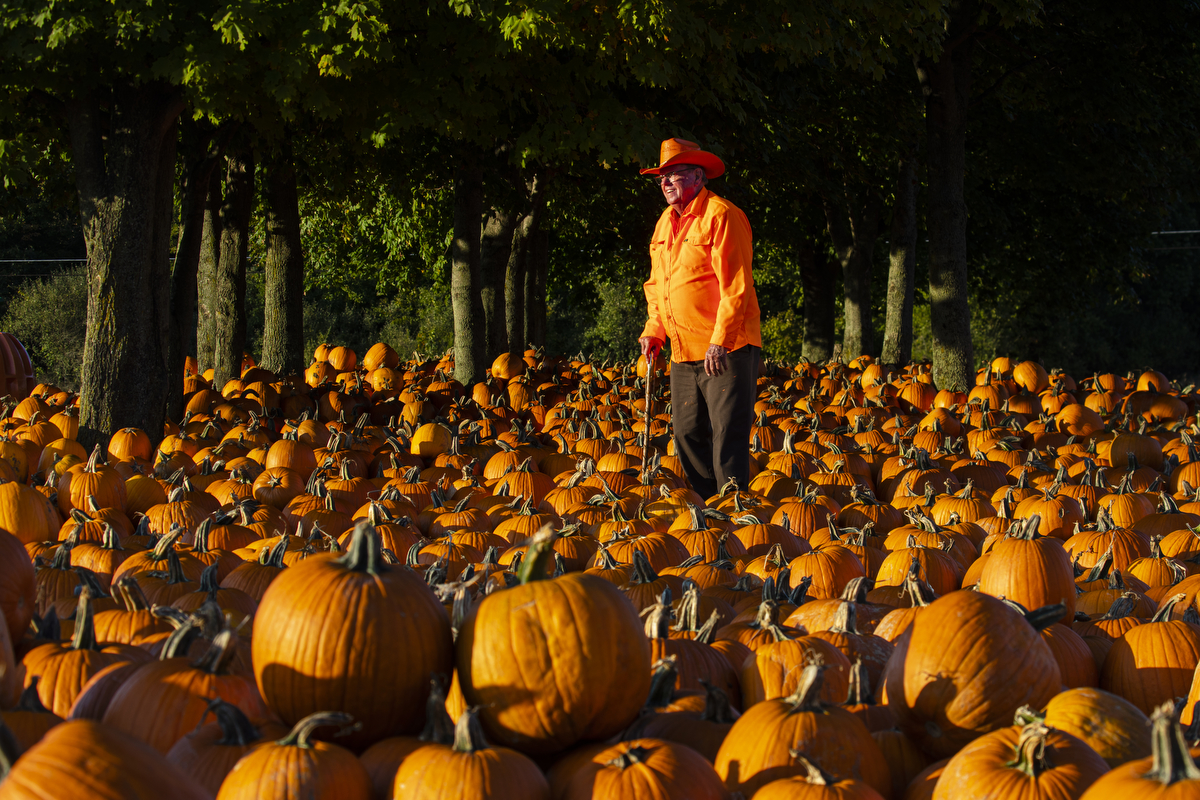 Kalamazoo legend Gene "The Pumpkin Man" Rhodes passes away at age 88 ...