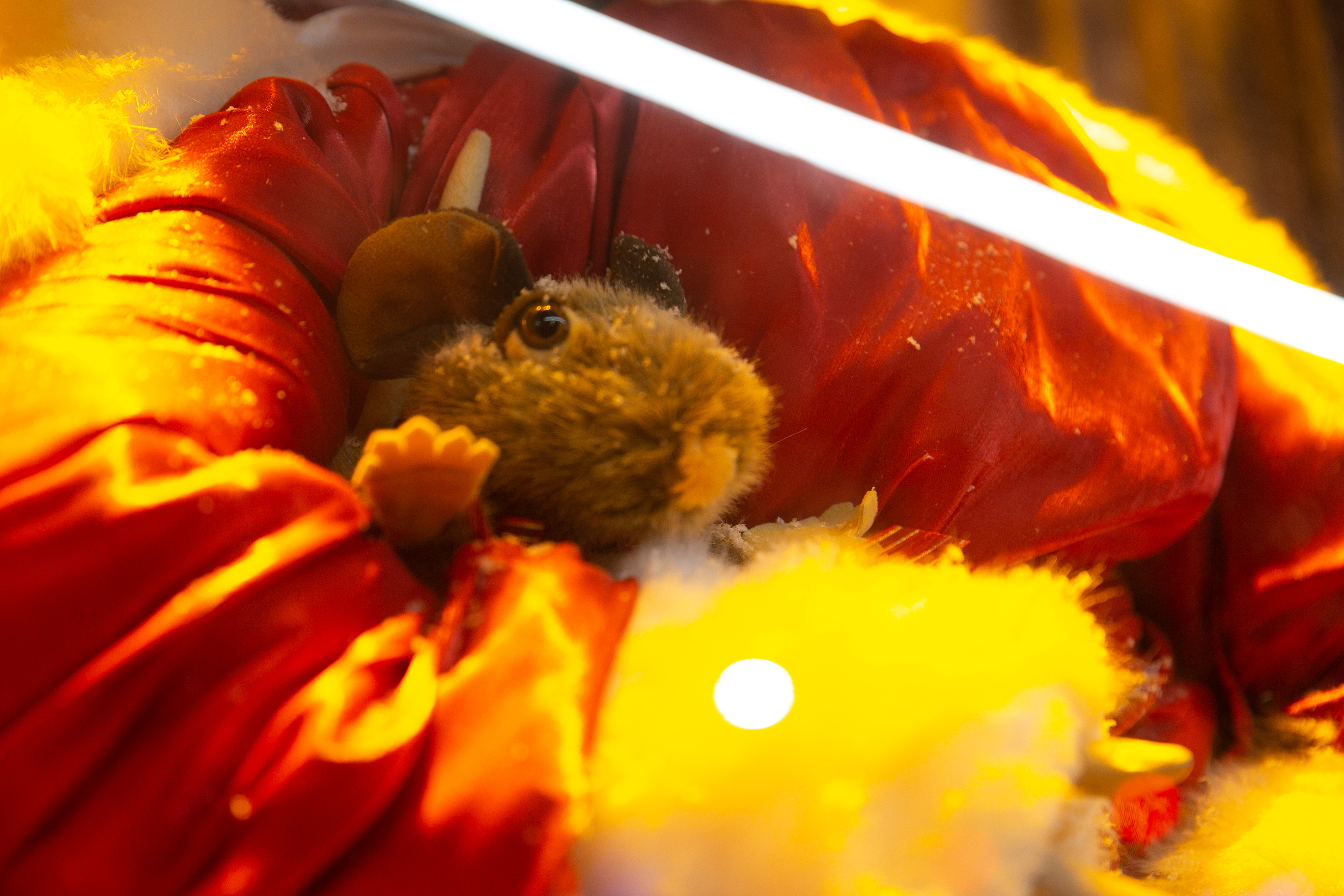 Historic Higbee windows showcase "The Nutcracker" at JACK Casino ...