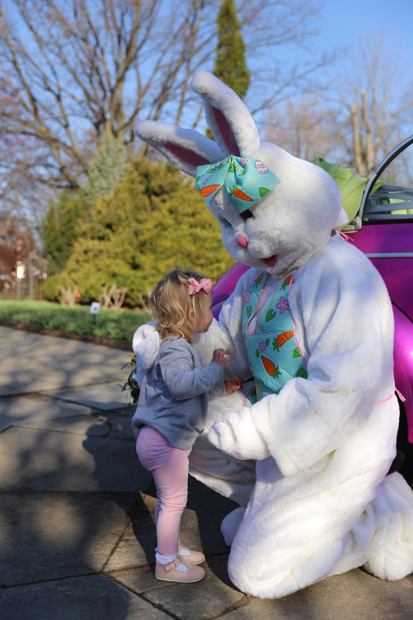 14th Easter Bunny Egg Hunt at Cleveland Botanical Garden - cleveland.com