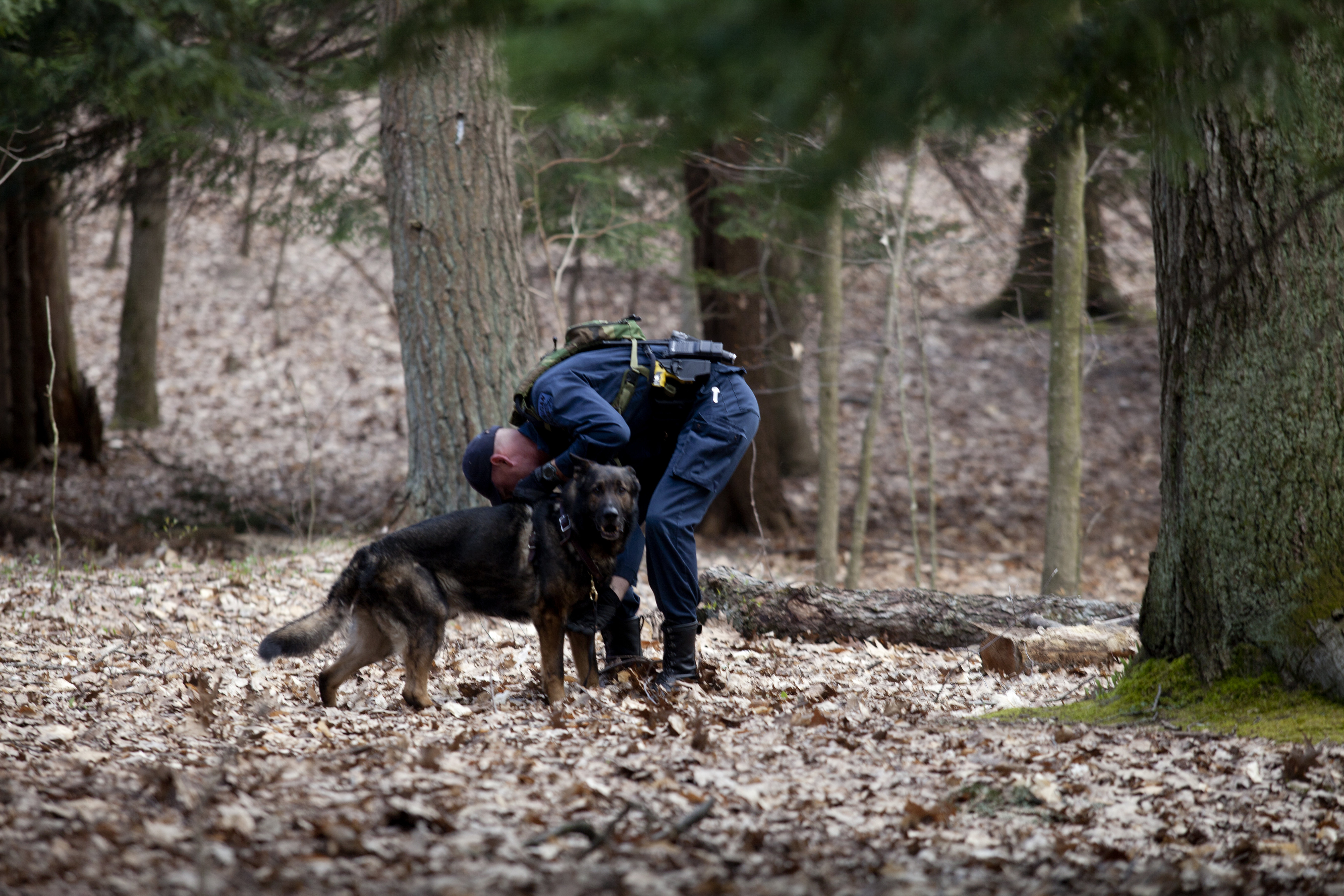 The disappearance of Jessica Heeringa and the trial of Jeffrey Willis ...