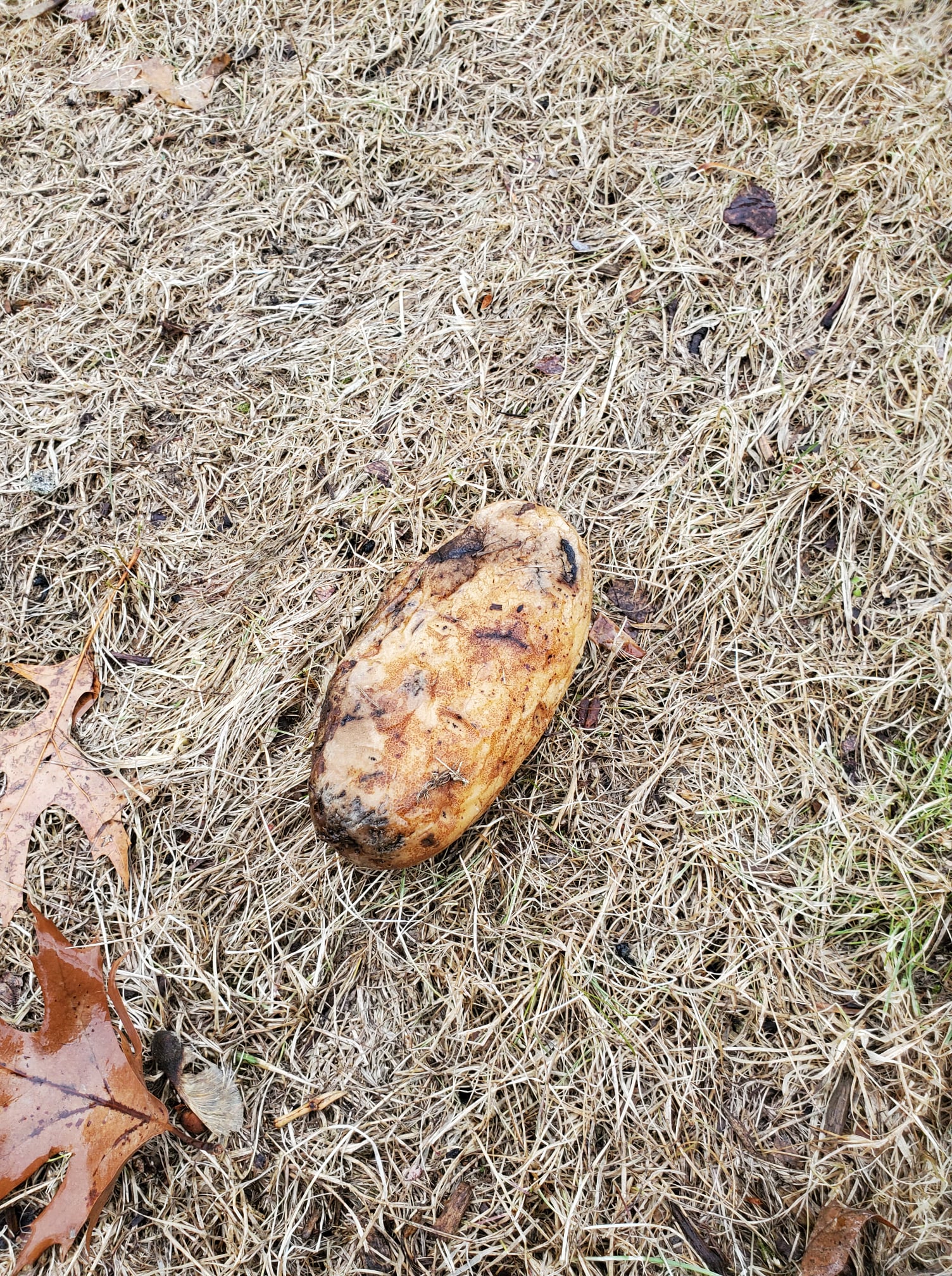 'The Late Show' host Stephen Colbert shouts out Massachusetts library ...