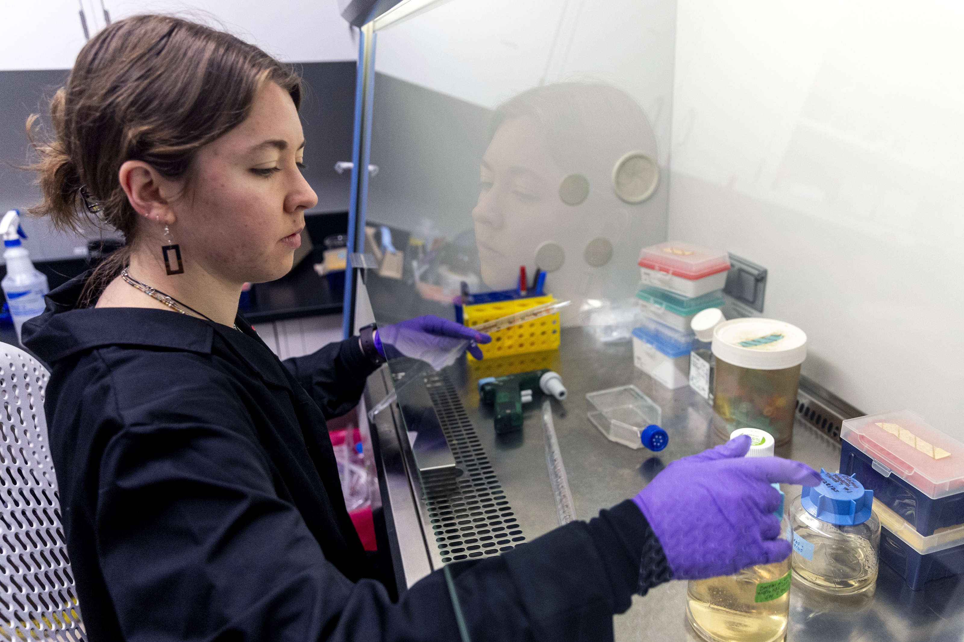 Federal funding cuts a threat to slowing MSU cancer treatment research ...