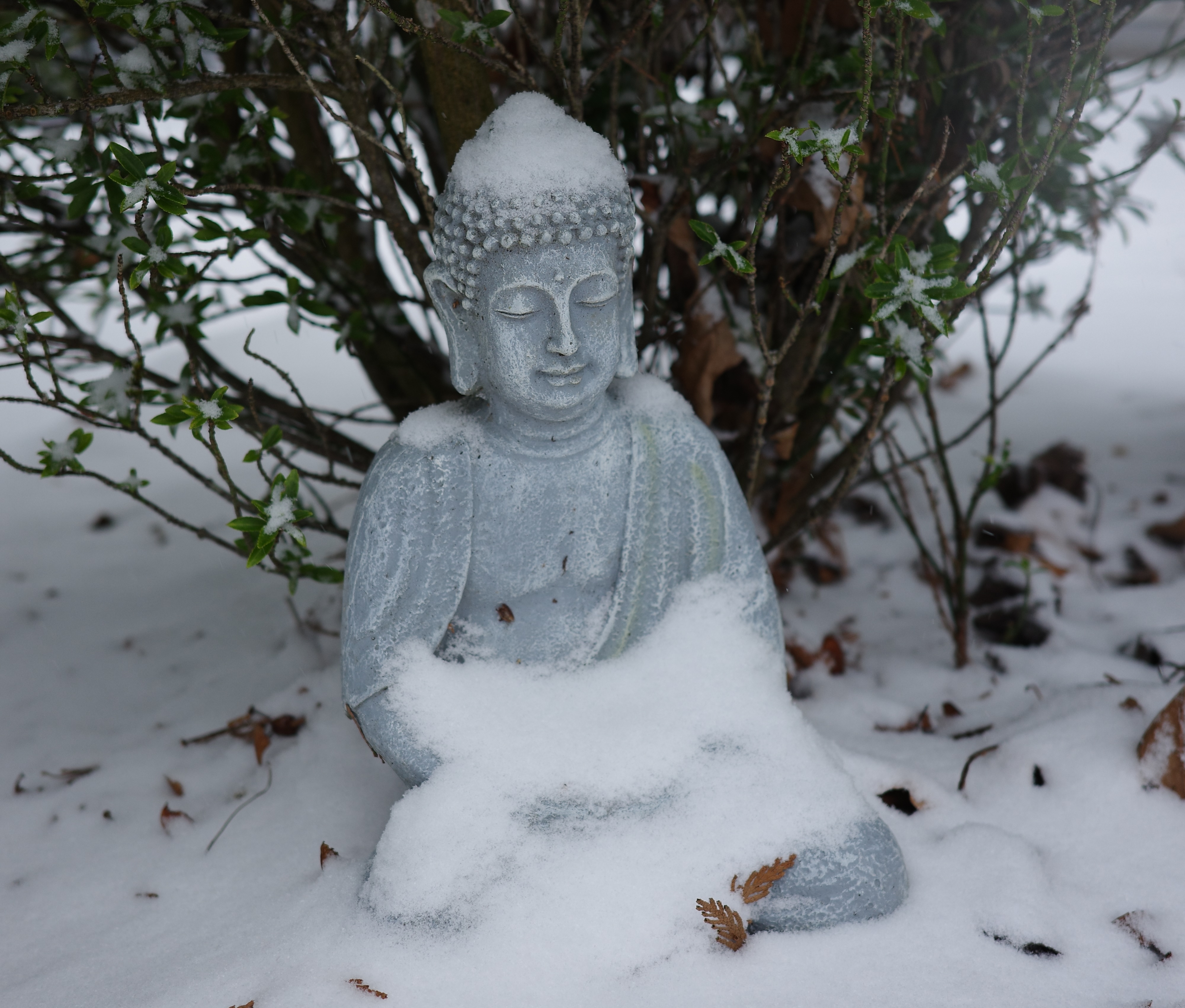 February snow blankets the Portland area - oregonlive.com